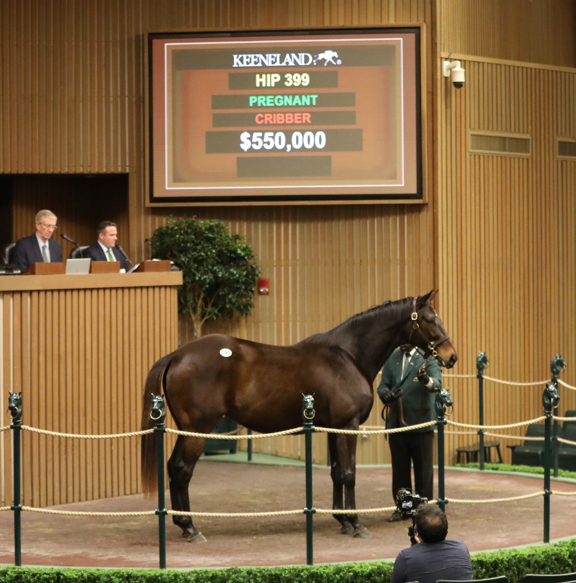 Keeneland January sale: Pioneerof the Nile mare Evocative tops opening ...