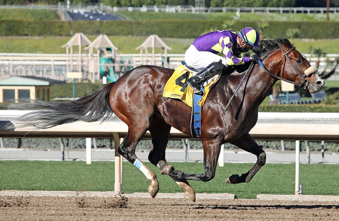 Express Train punches ticket to Santa Anita Handicap