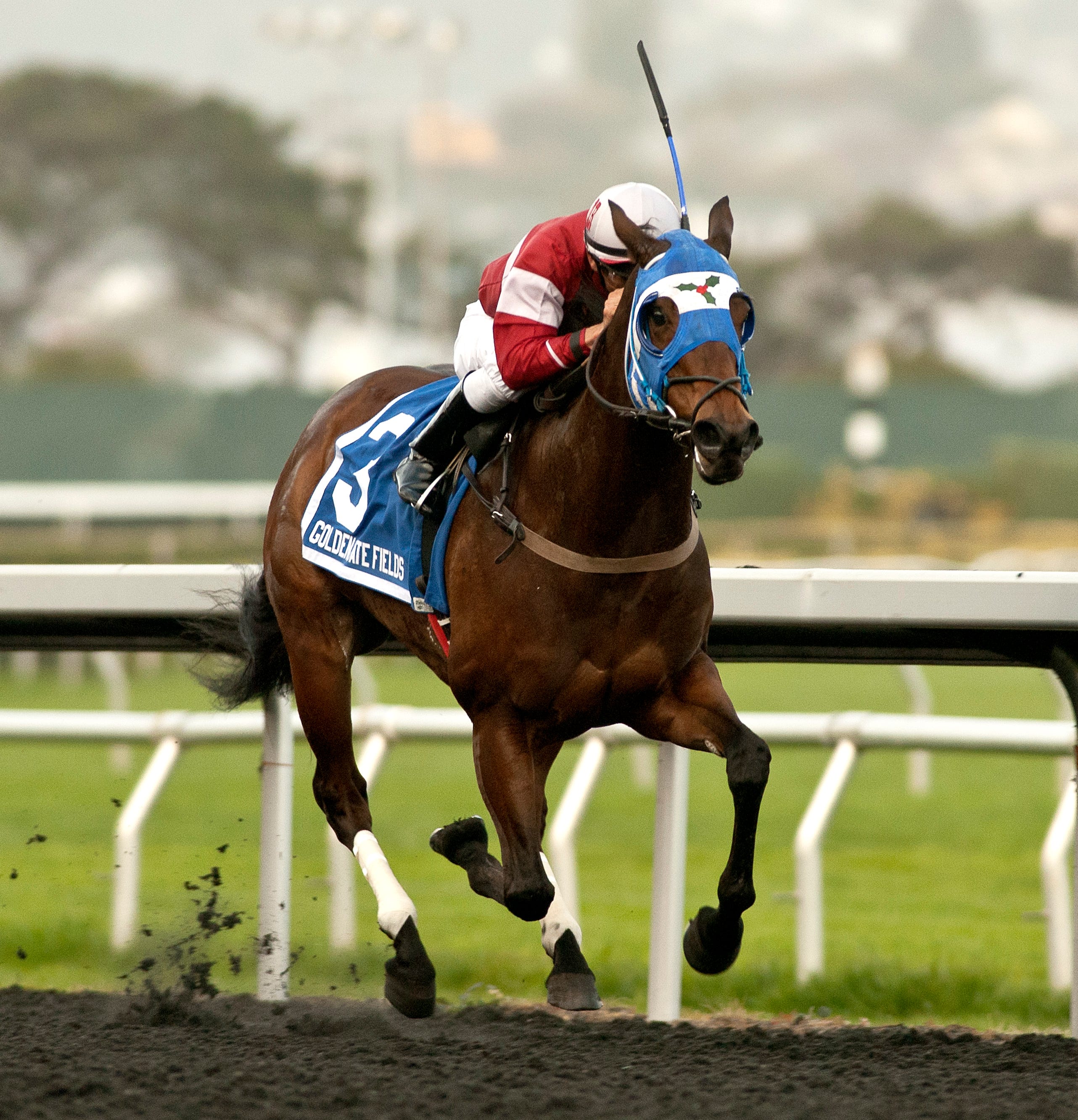 Fast and Foxy uses speed to score in Bear Fan