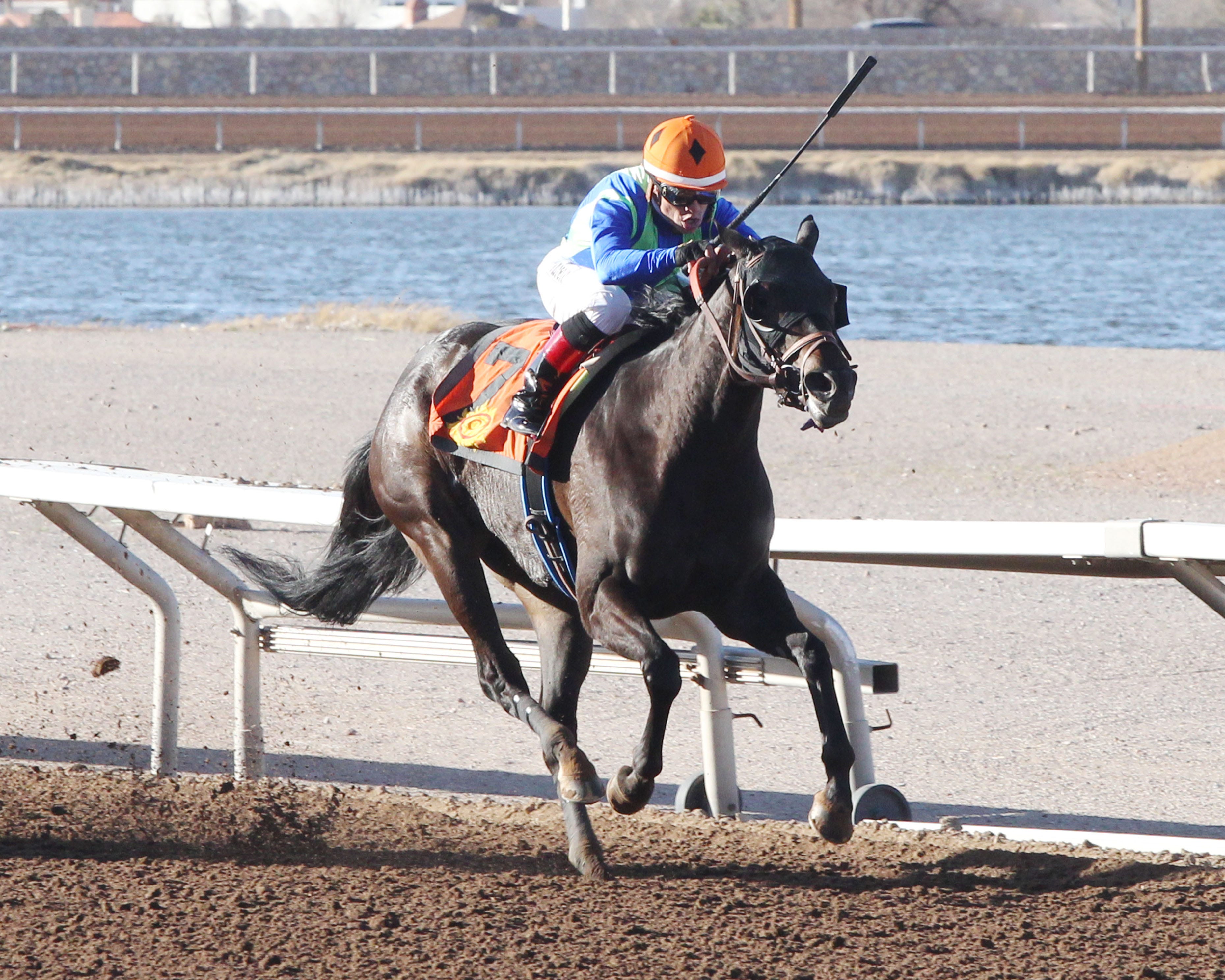 Fast Gator takes La Coneja