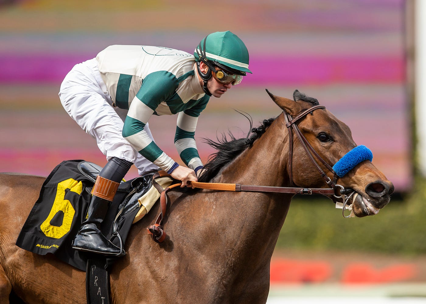 Undefeated Faiza leads field of 12 for Black-Eyed Susan