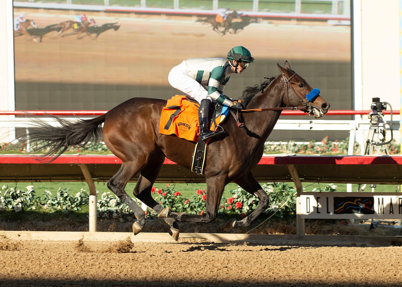 Faiza goes from debut win to Grade 1 in Starlet