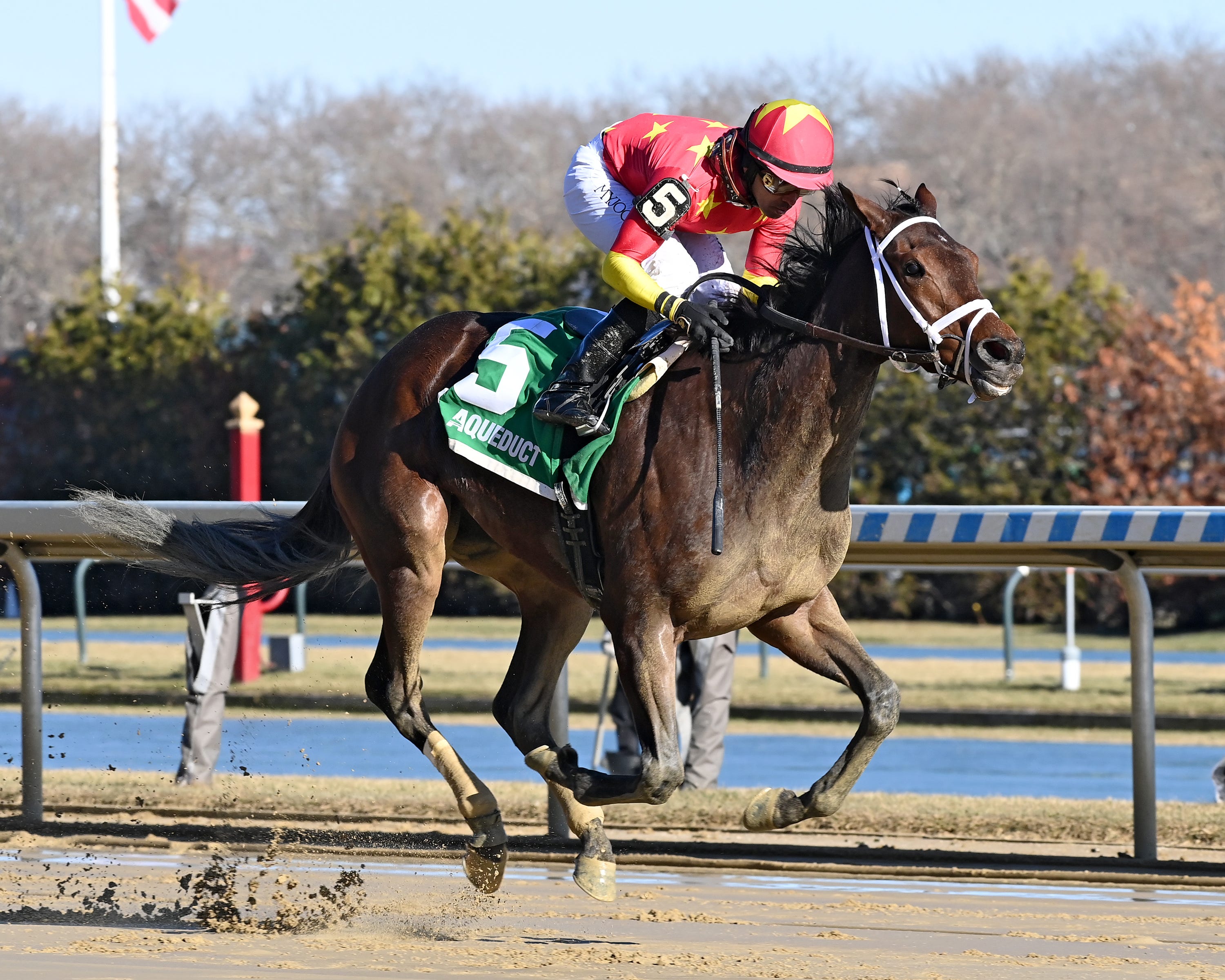 Falconet gets the trip and the win in Ladies Stakes