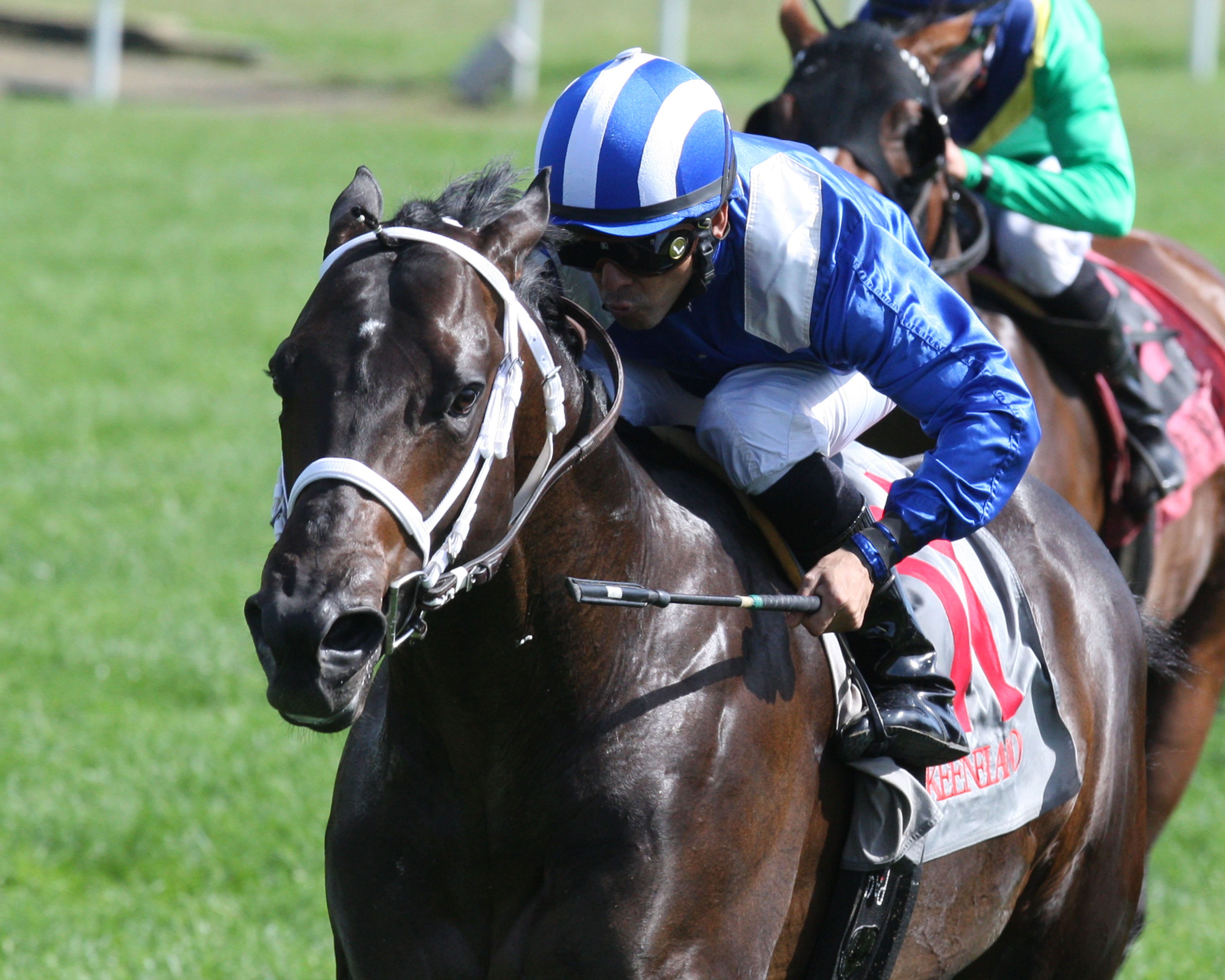 Farz will try to pair wins in turf-route feature