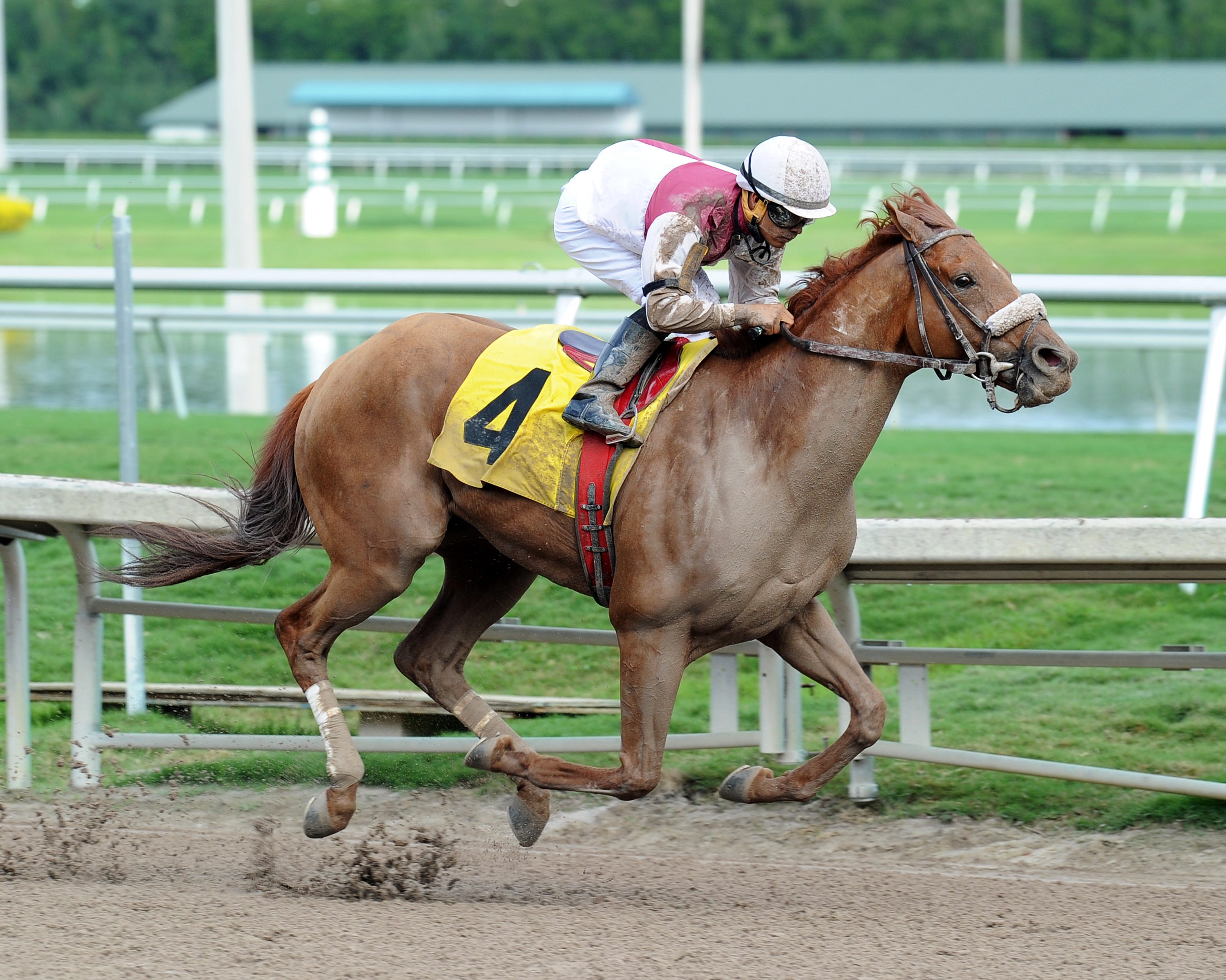 Fast Falcon launches comeback for Casse in allowance route