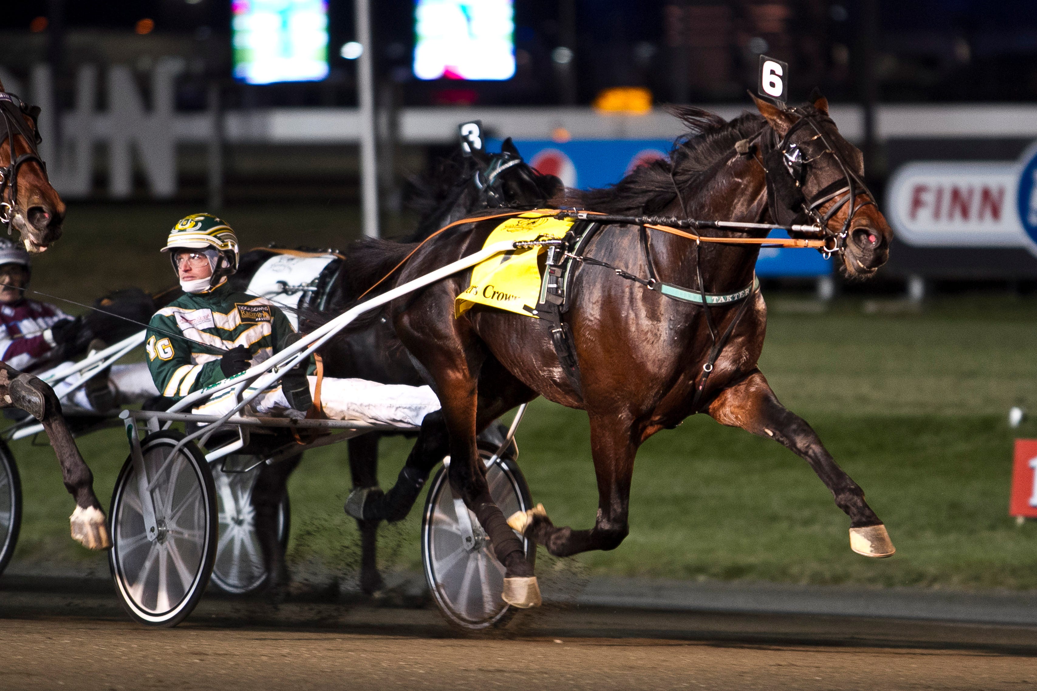 Marks: Father Patrick may breed in New Jersey