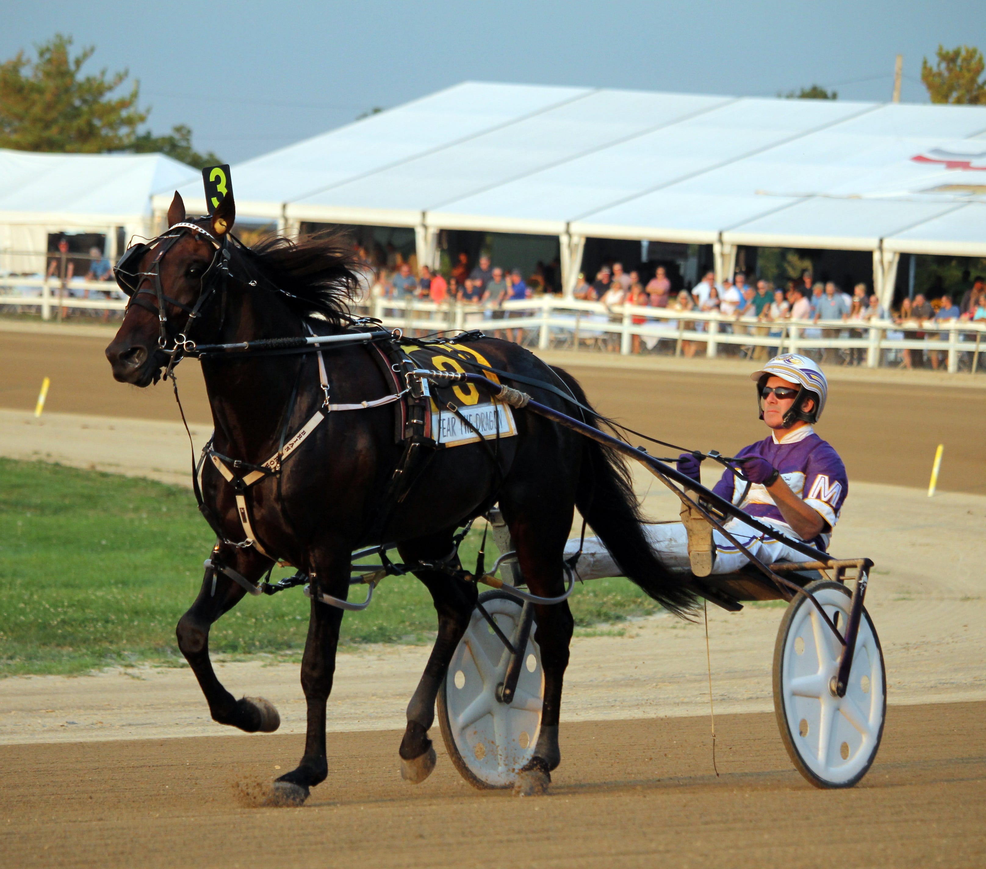Hoosier: Trainer Brian Brown brings six-pack to Crown eliminations