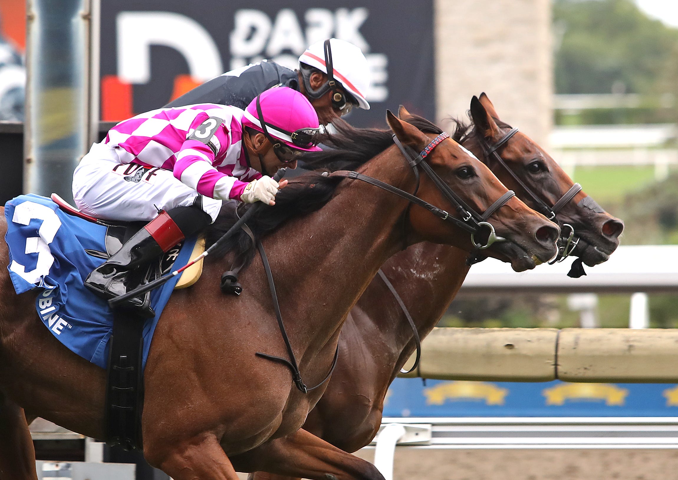 Fev Rover noses Crystal Cliffs in Canadian Stakes