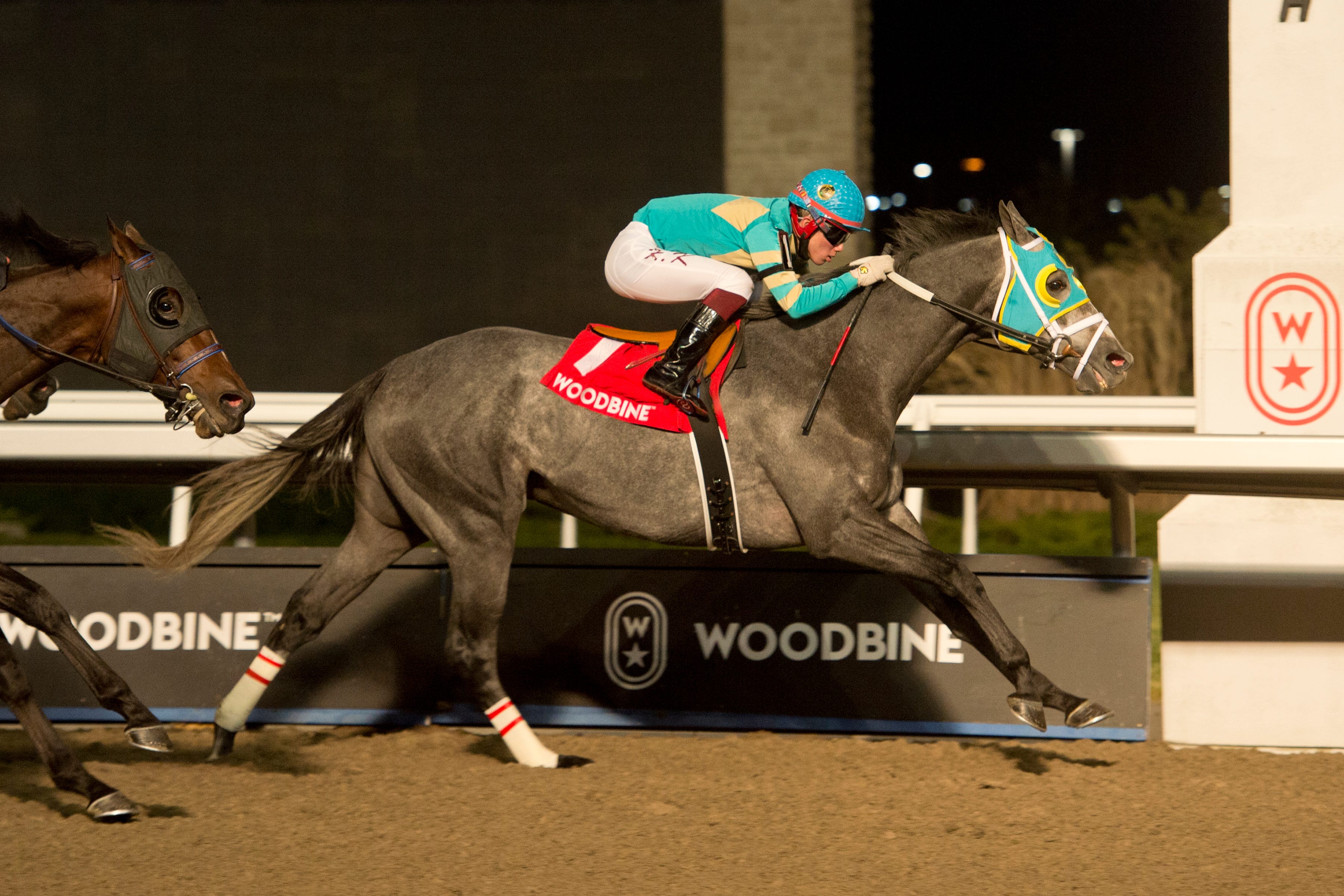 Field Pass hace valer su jerarquía al ganar el Ontario Derby G3