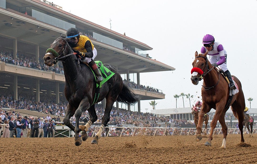 California Stallions 2024: Bolden, Finneus, Shaaz join Golden State ranks