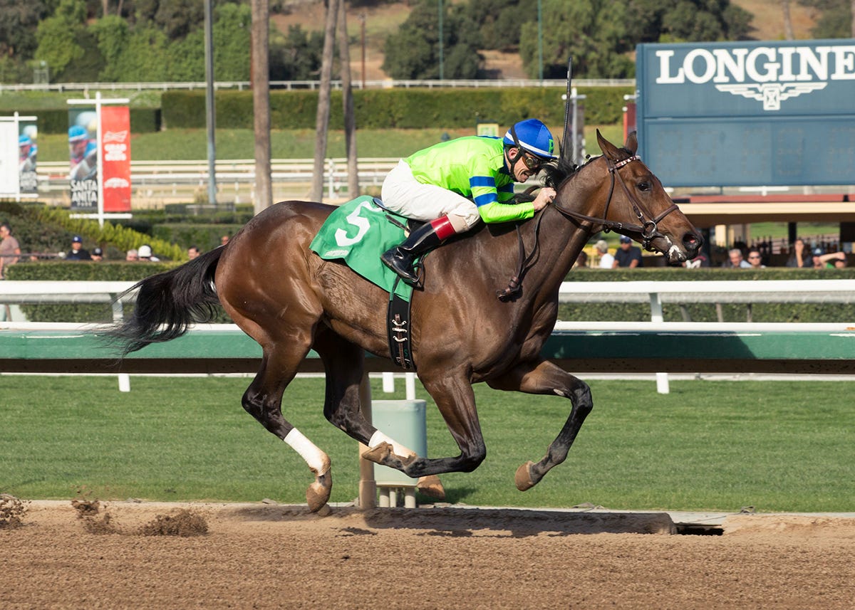 Fire When Ready returns with eye on stakes races