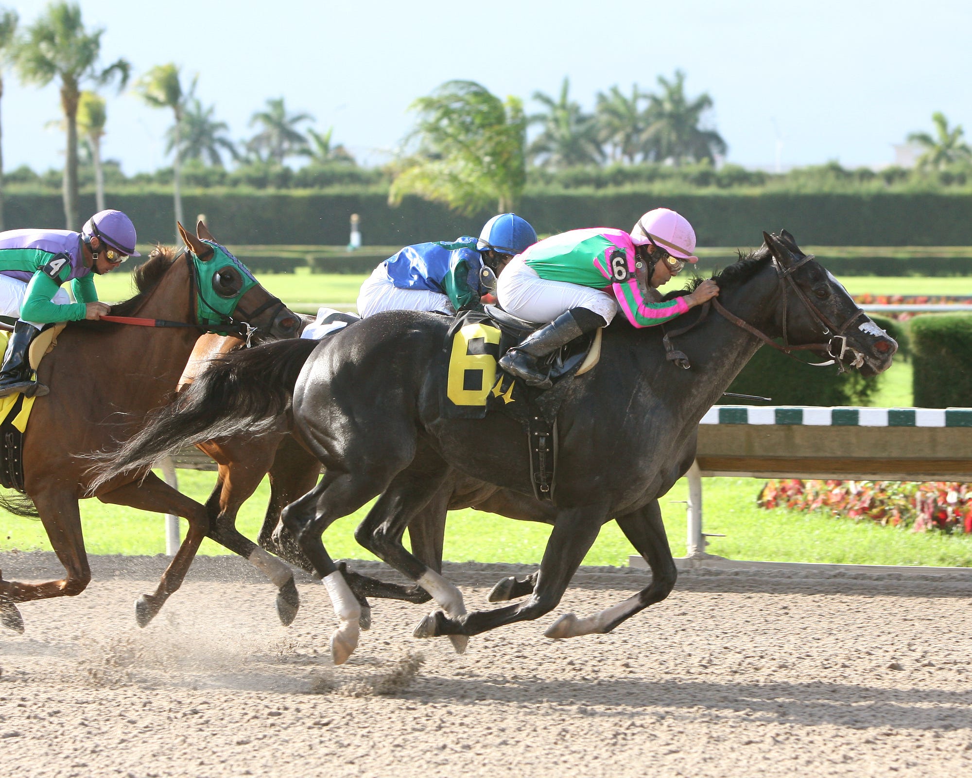 First Passage looks strong in backup spot