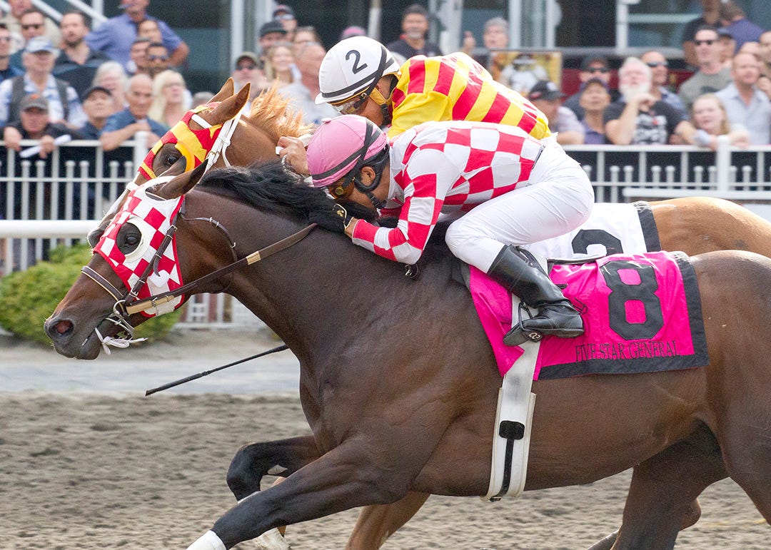 Glen Todd dispersal set for online bidding