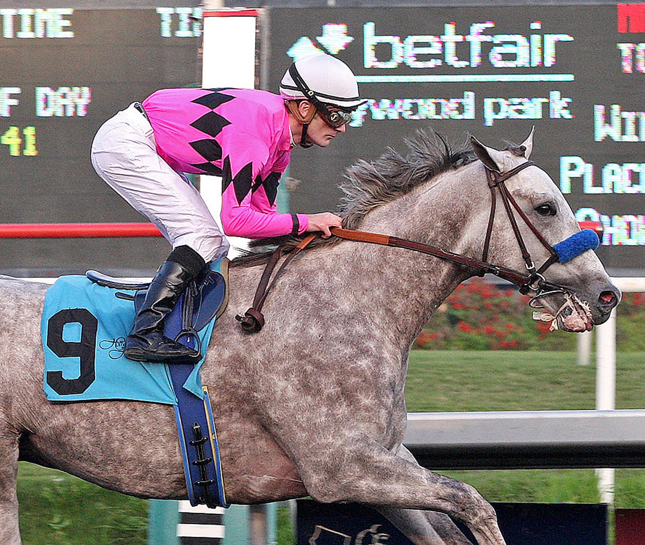 Hollywood: Flashback one to watch from Baffert barn