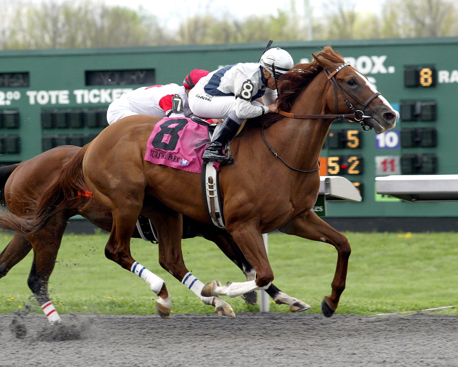 Turfway Park: Flashy Dresser looks like a pro taking Rushaway