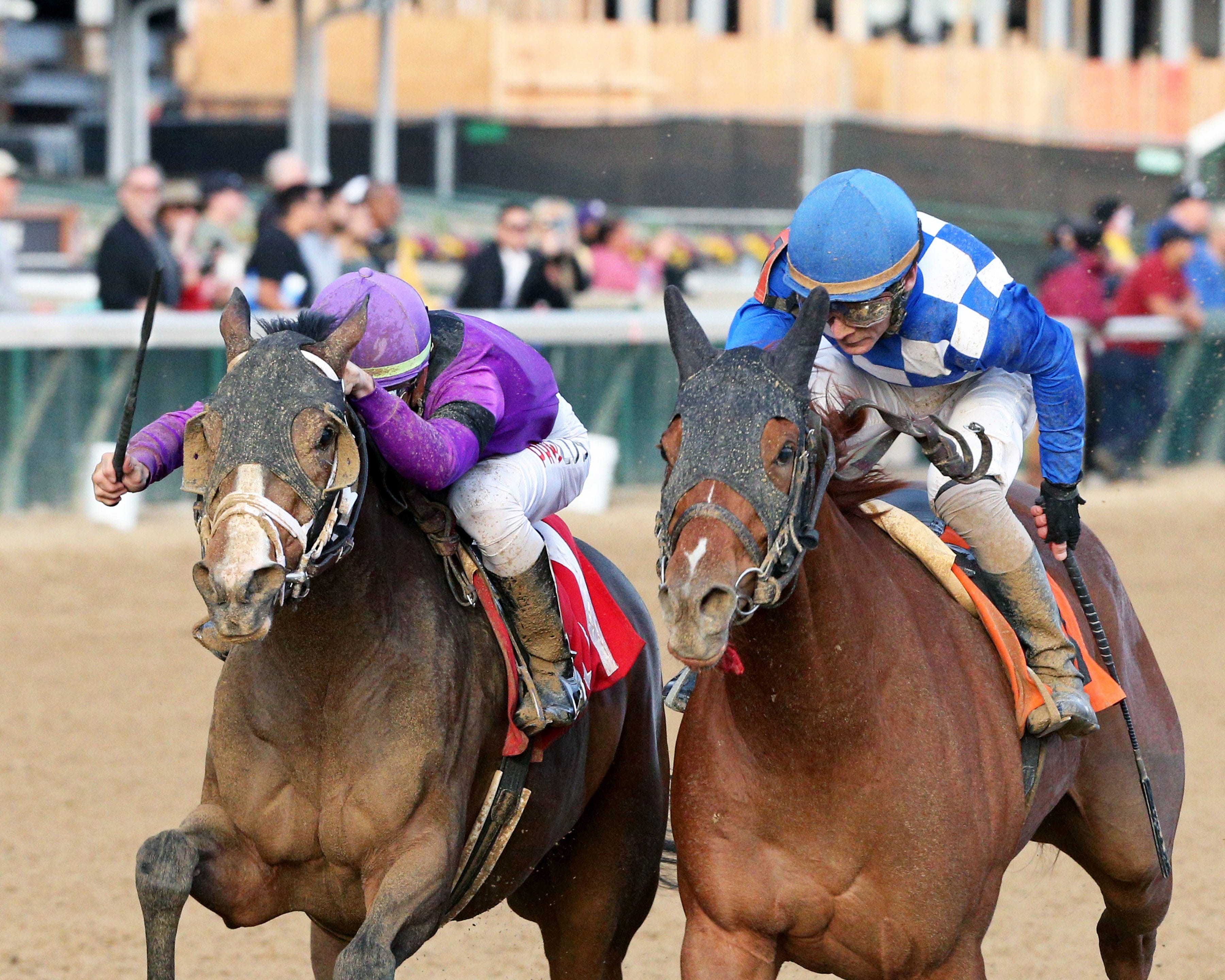 Knapp has several good chances on card