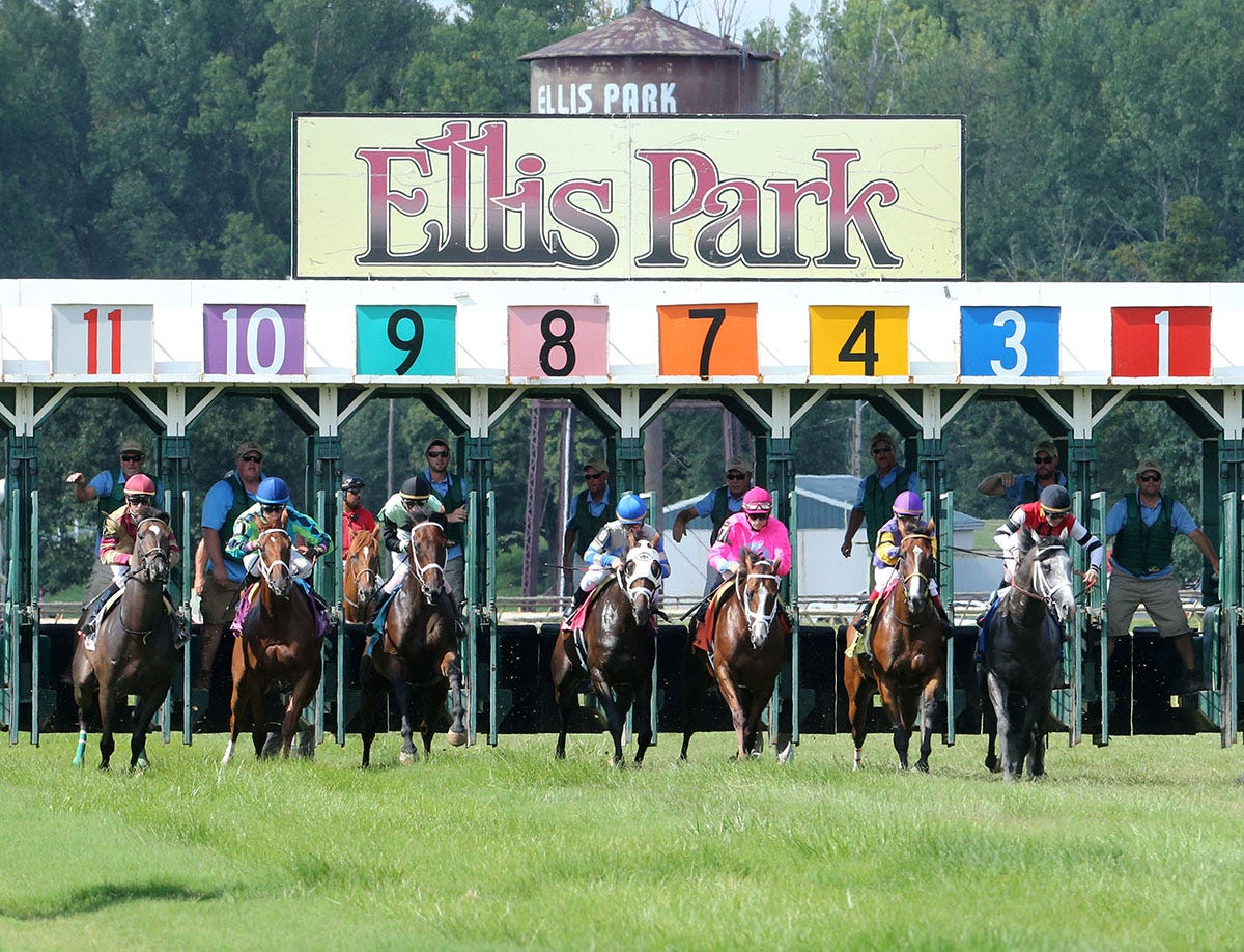 Stability arrives at Ellis Park