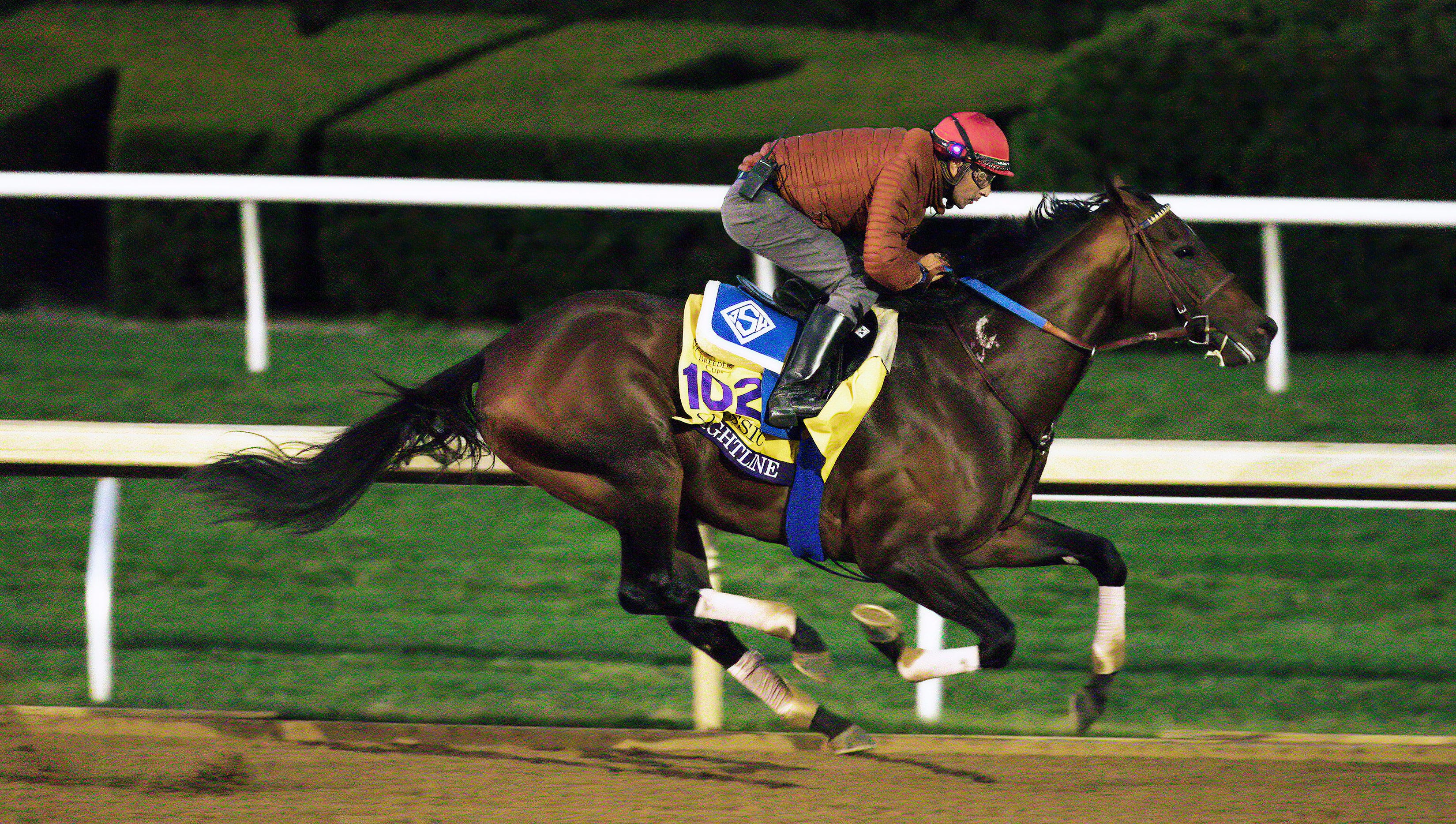 Flightline, Life Is Good sharp in final works for Breeders' Cup Classic