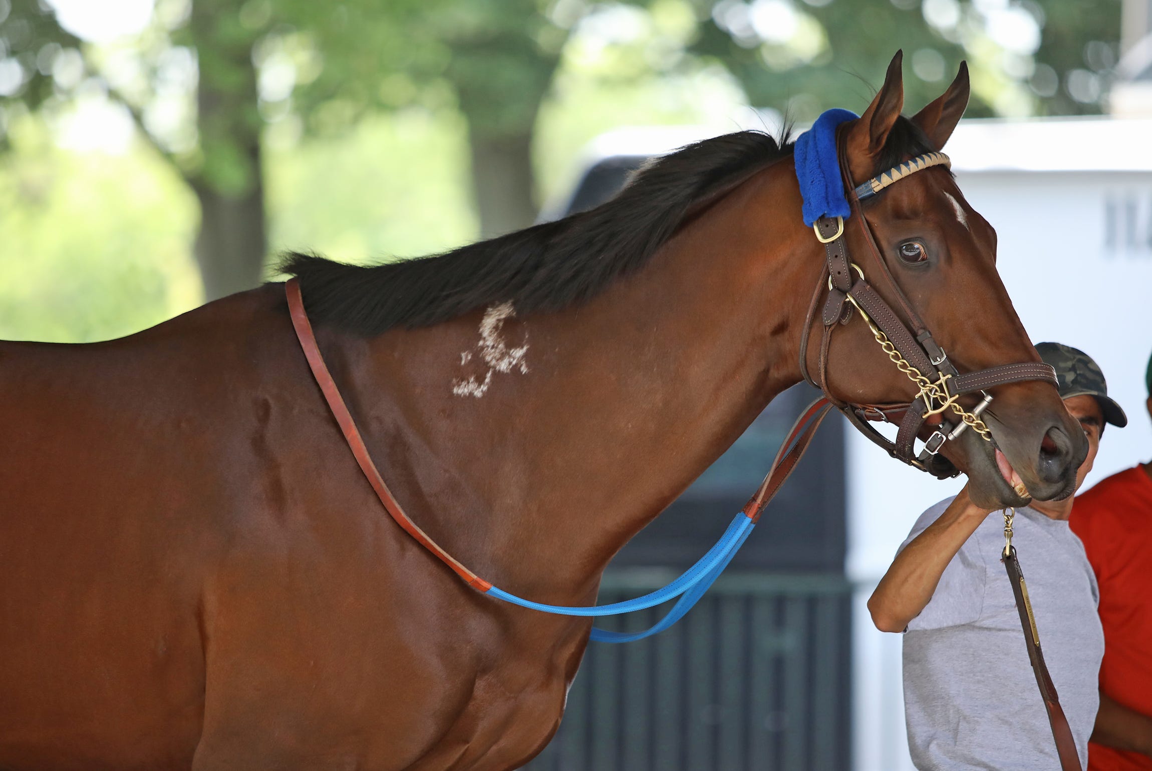 Flightline works five furlongs from gate for Pacific Classic