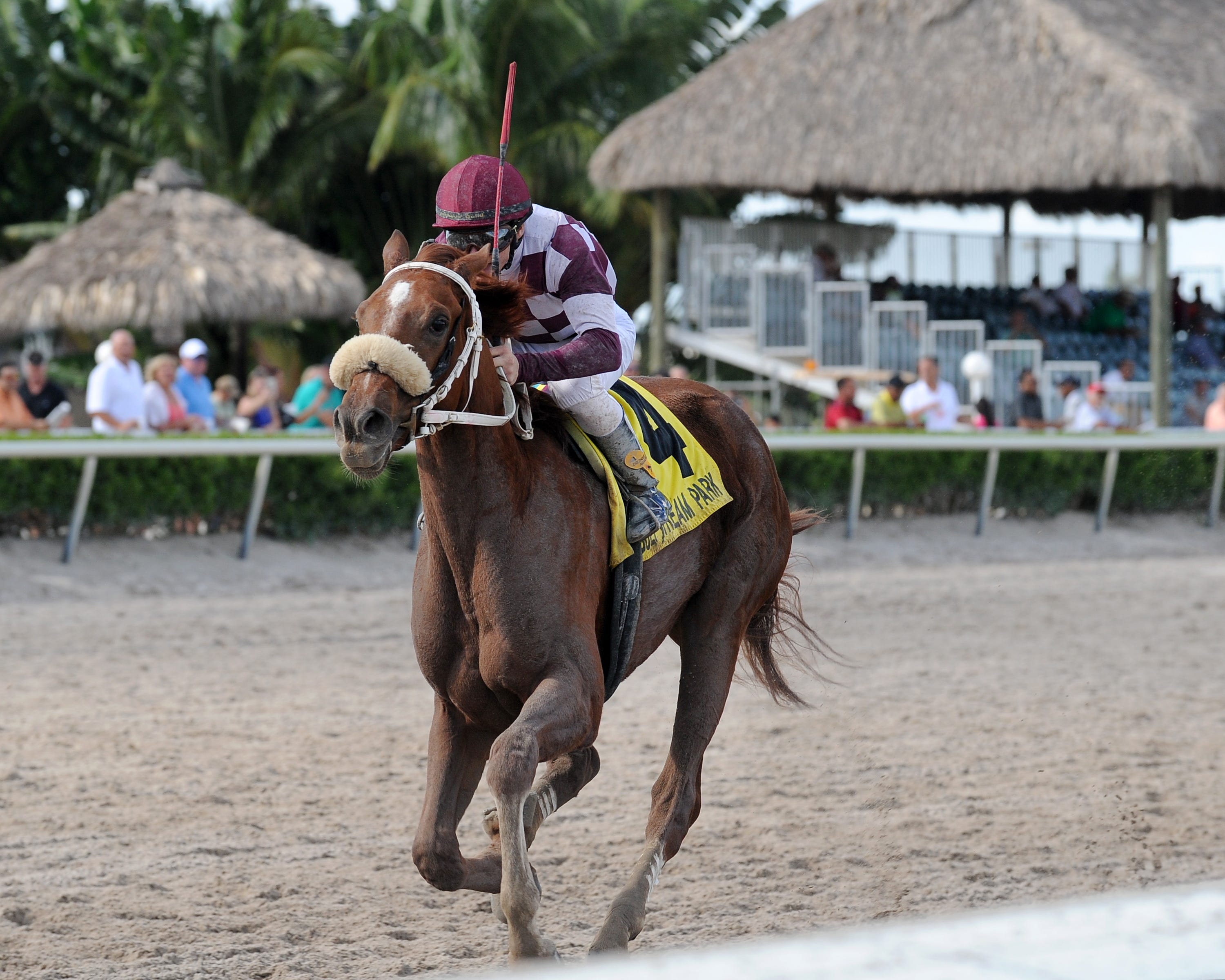 Flora Dora wins maiden in My Dear Girl
