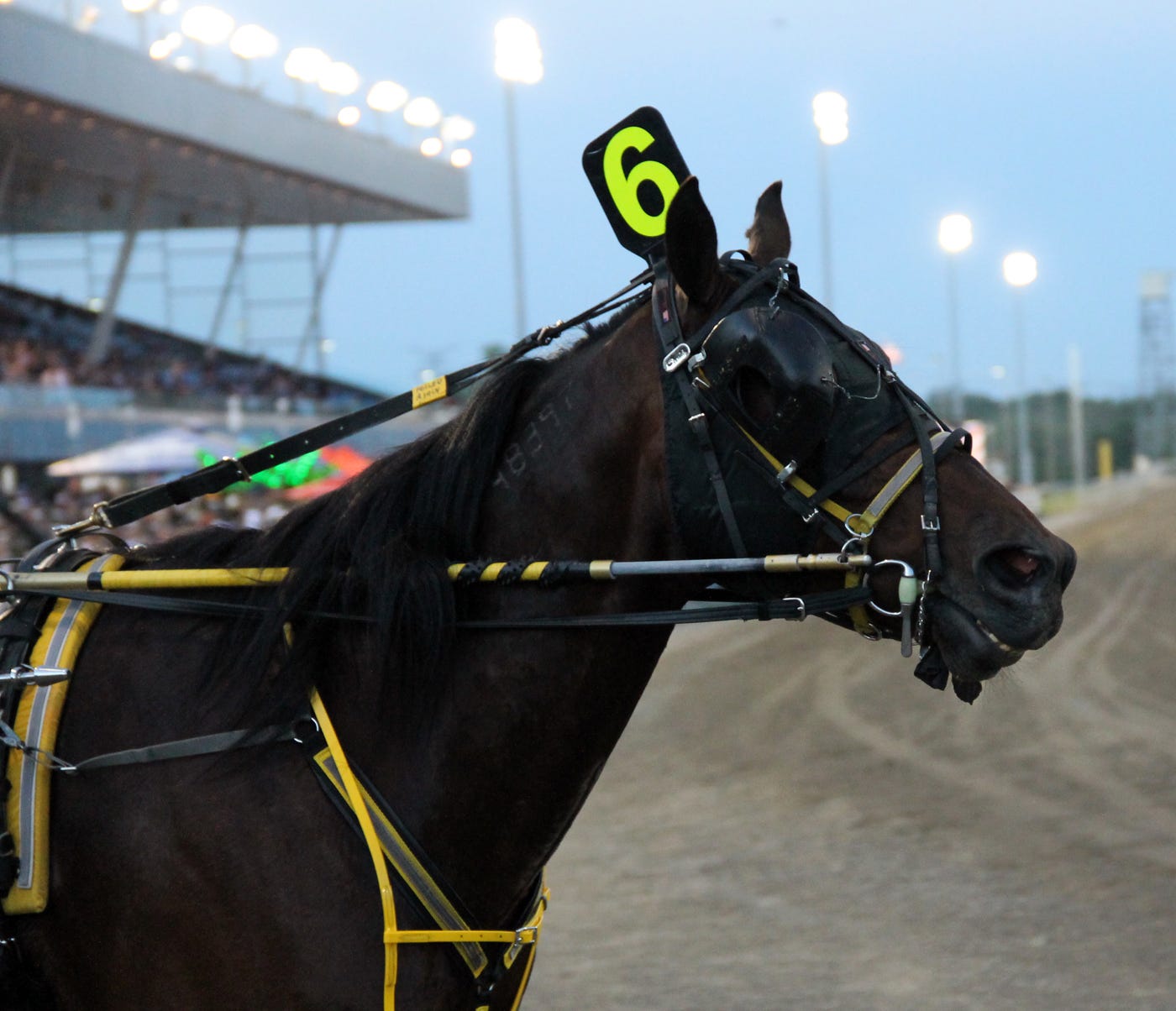 Harness: Foiled Again is back again for another season