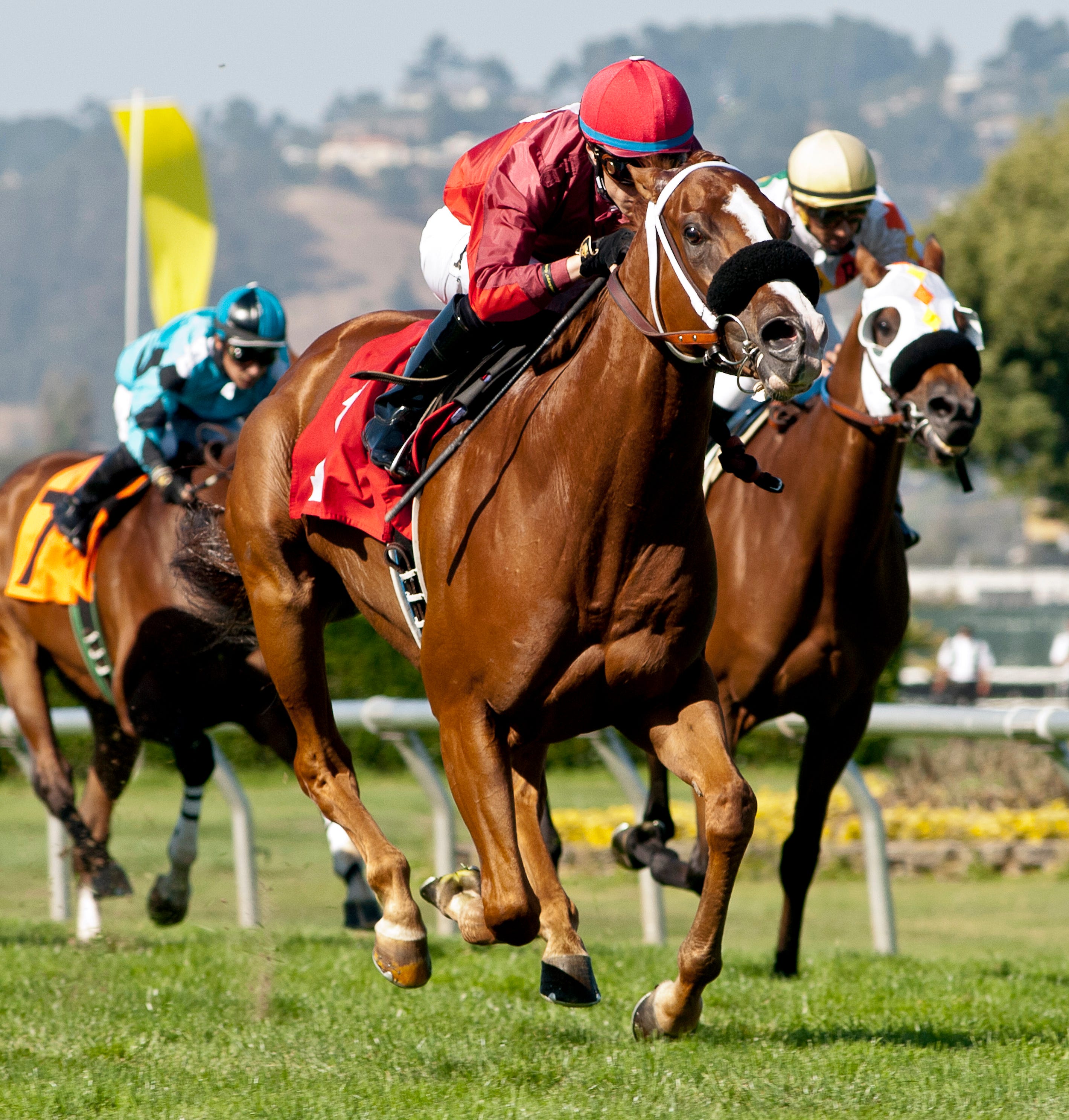 Force, Black Tie Event go at it again in Berkeley Handicap