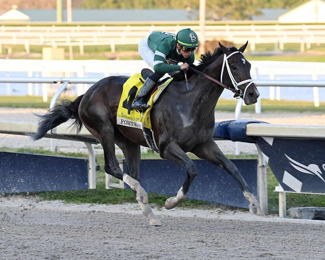 Florida Derby: Despite post, Forte expectations through the roof