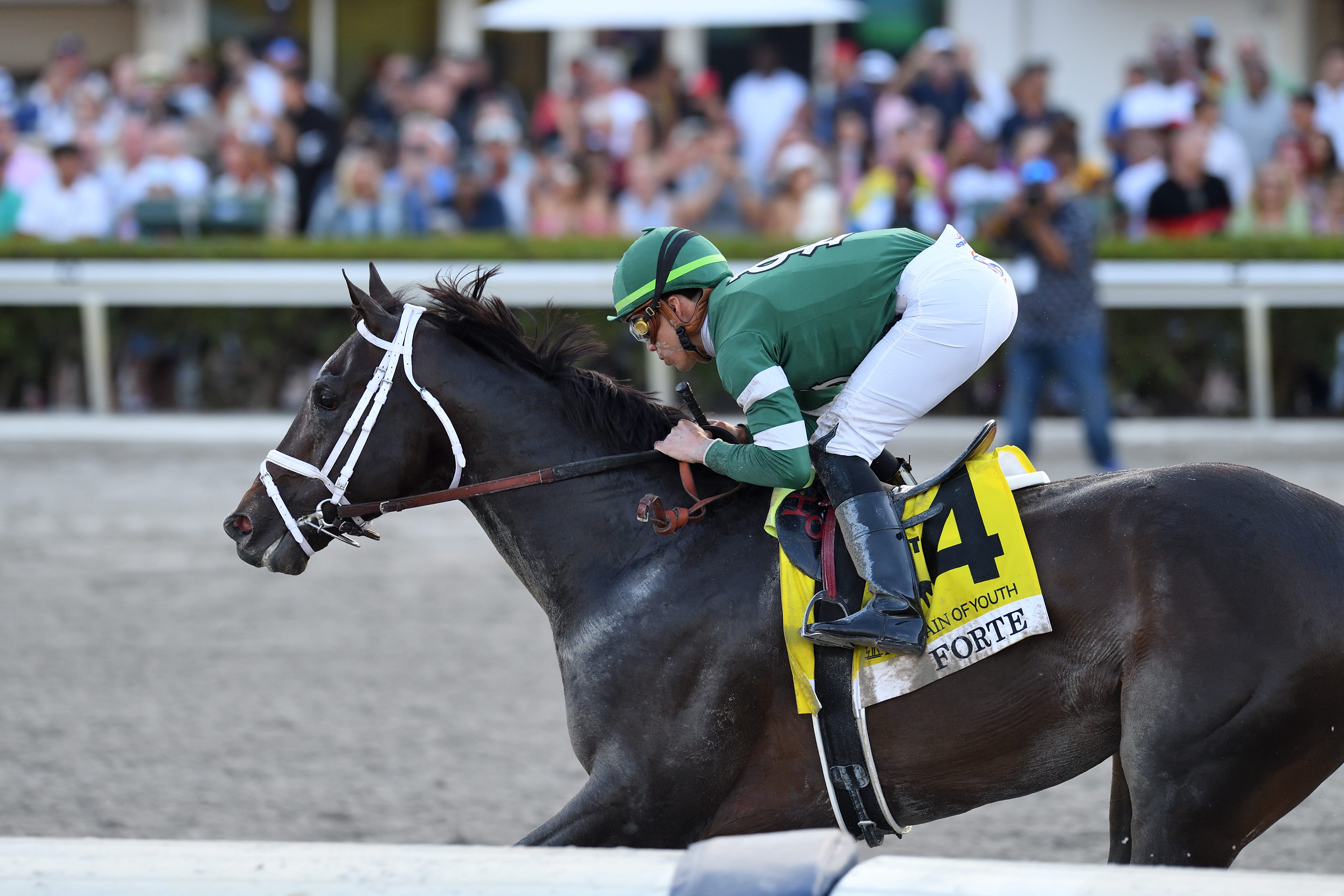 Florida Derby likely next for Forte, Pletcher says