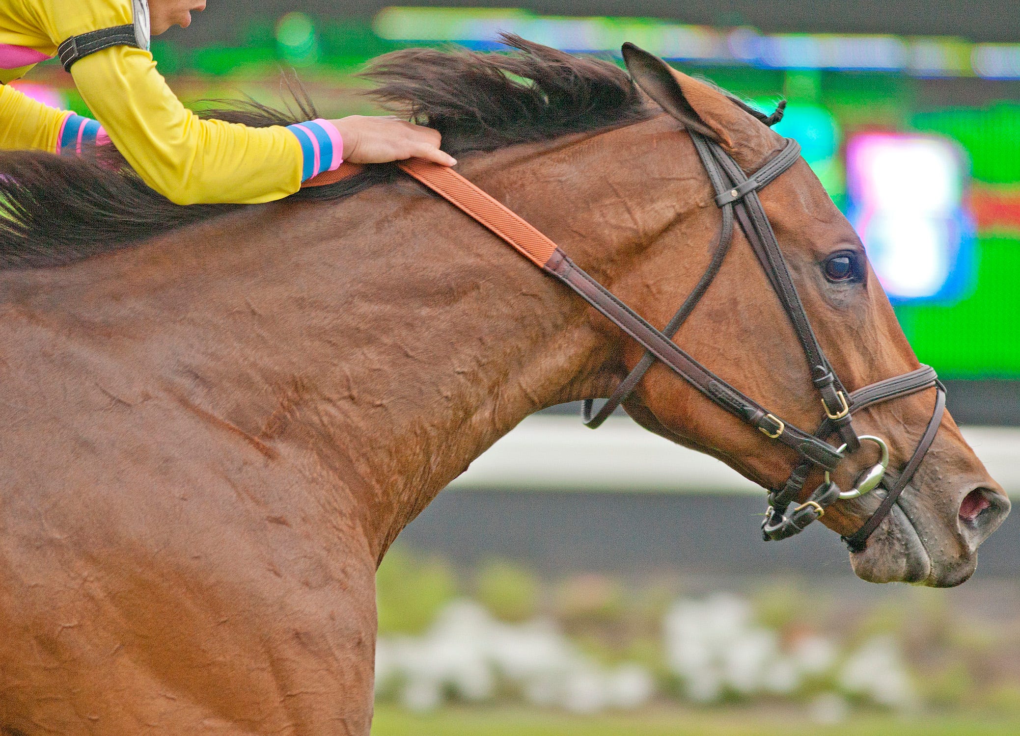 Fourstar Crook becomes third Hillsborough winner for Brown