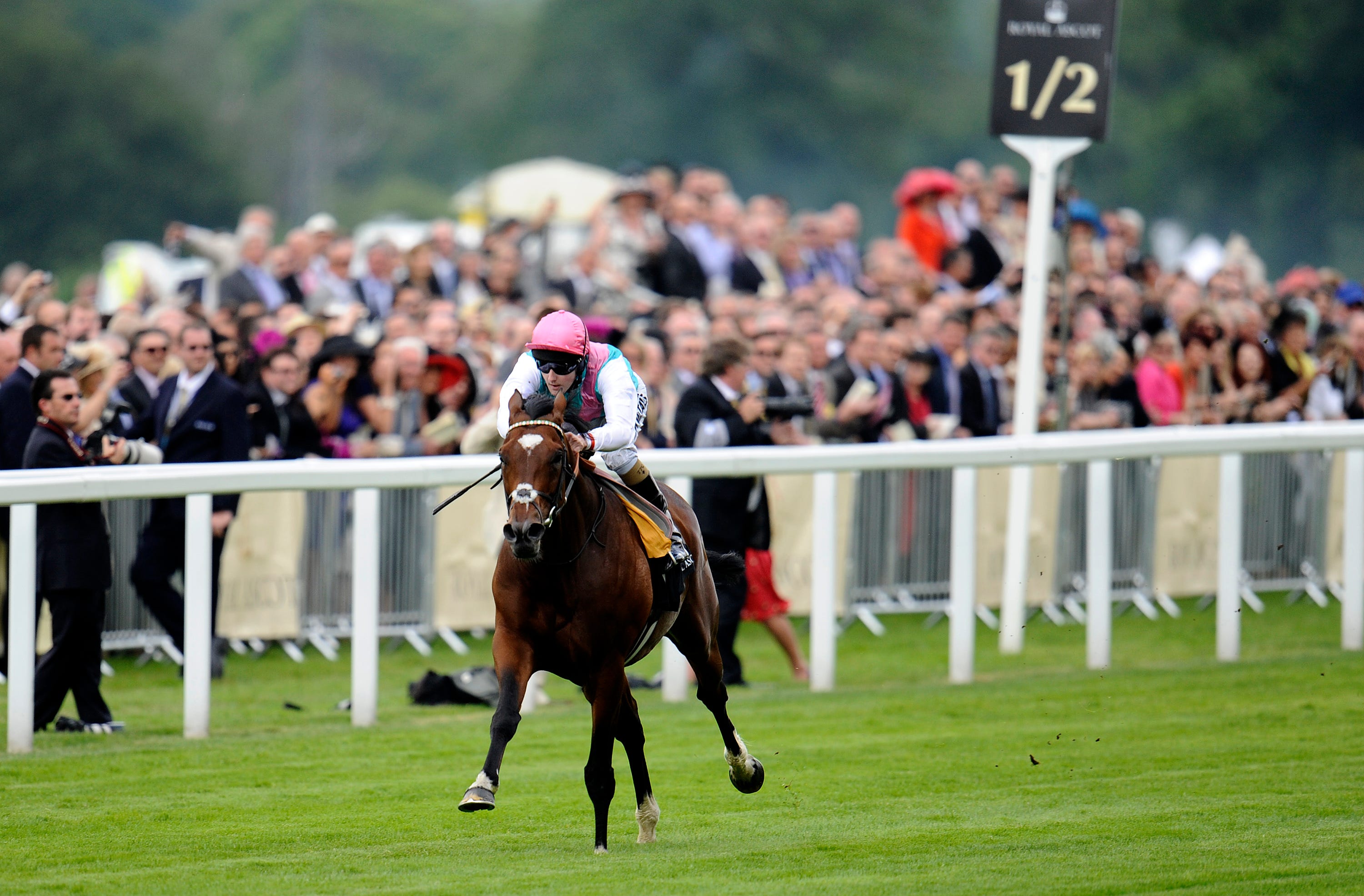 Frankel spurs debate over all-time greatest racehorses