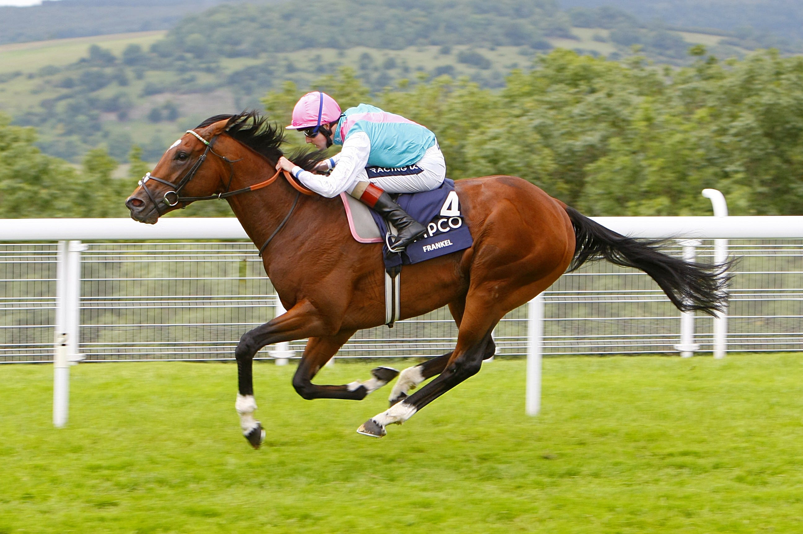 Frankel has book of the century