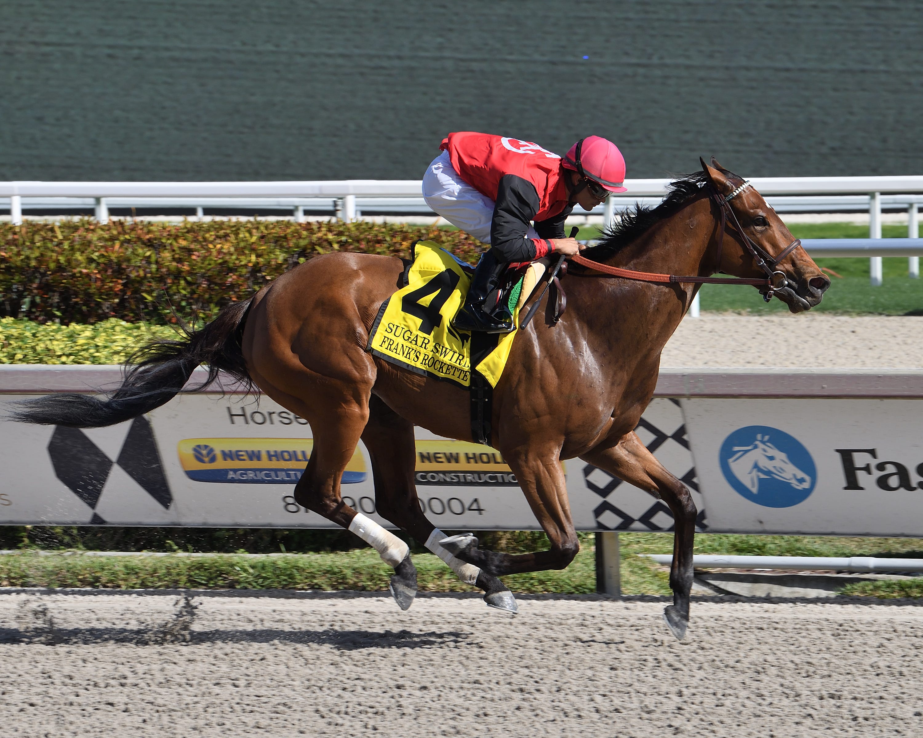 Frank's Rockette runs away with Sugar Swirl