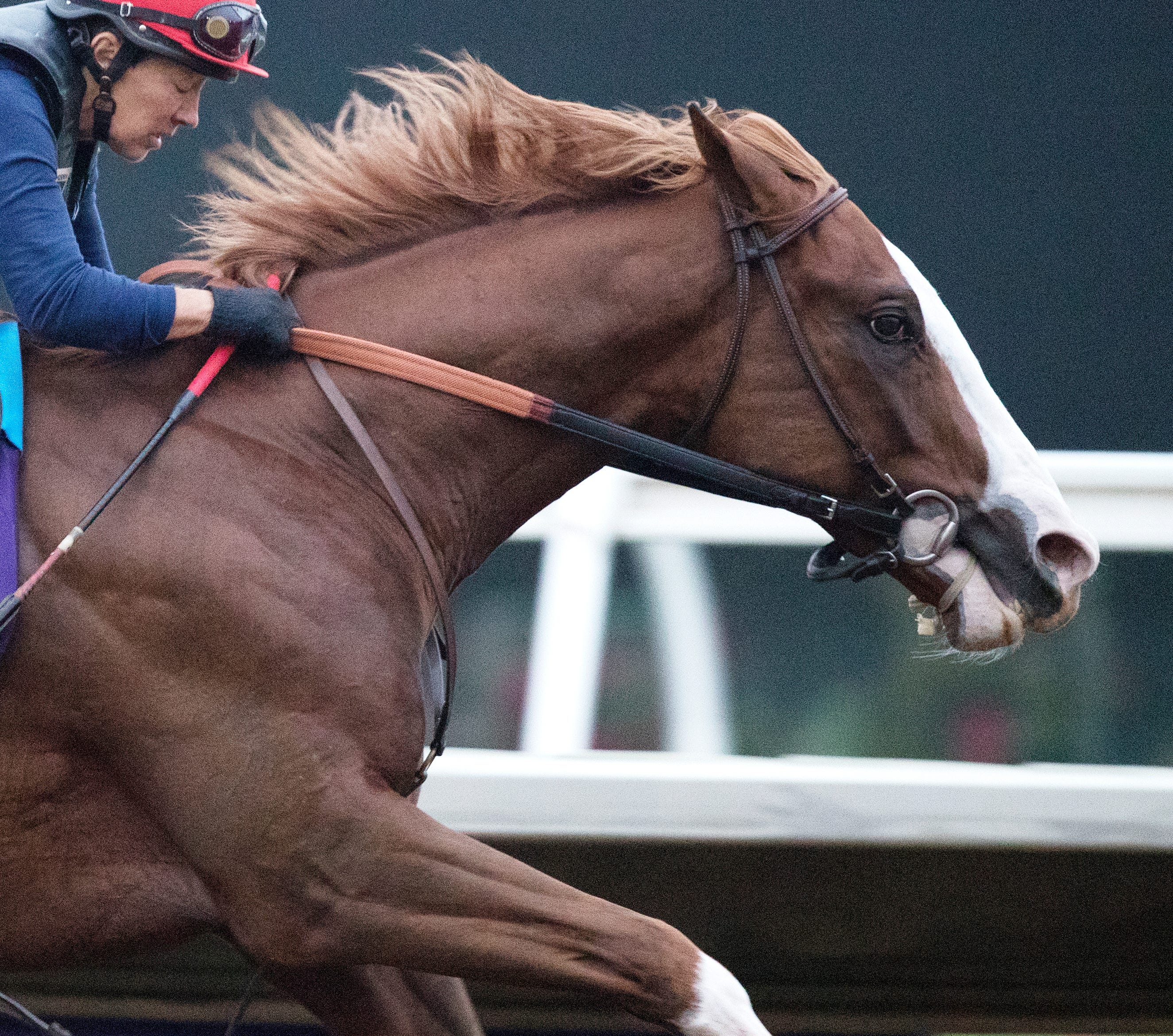 Iowa State adds Grade 1 winner in Free Drop Billy