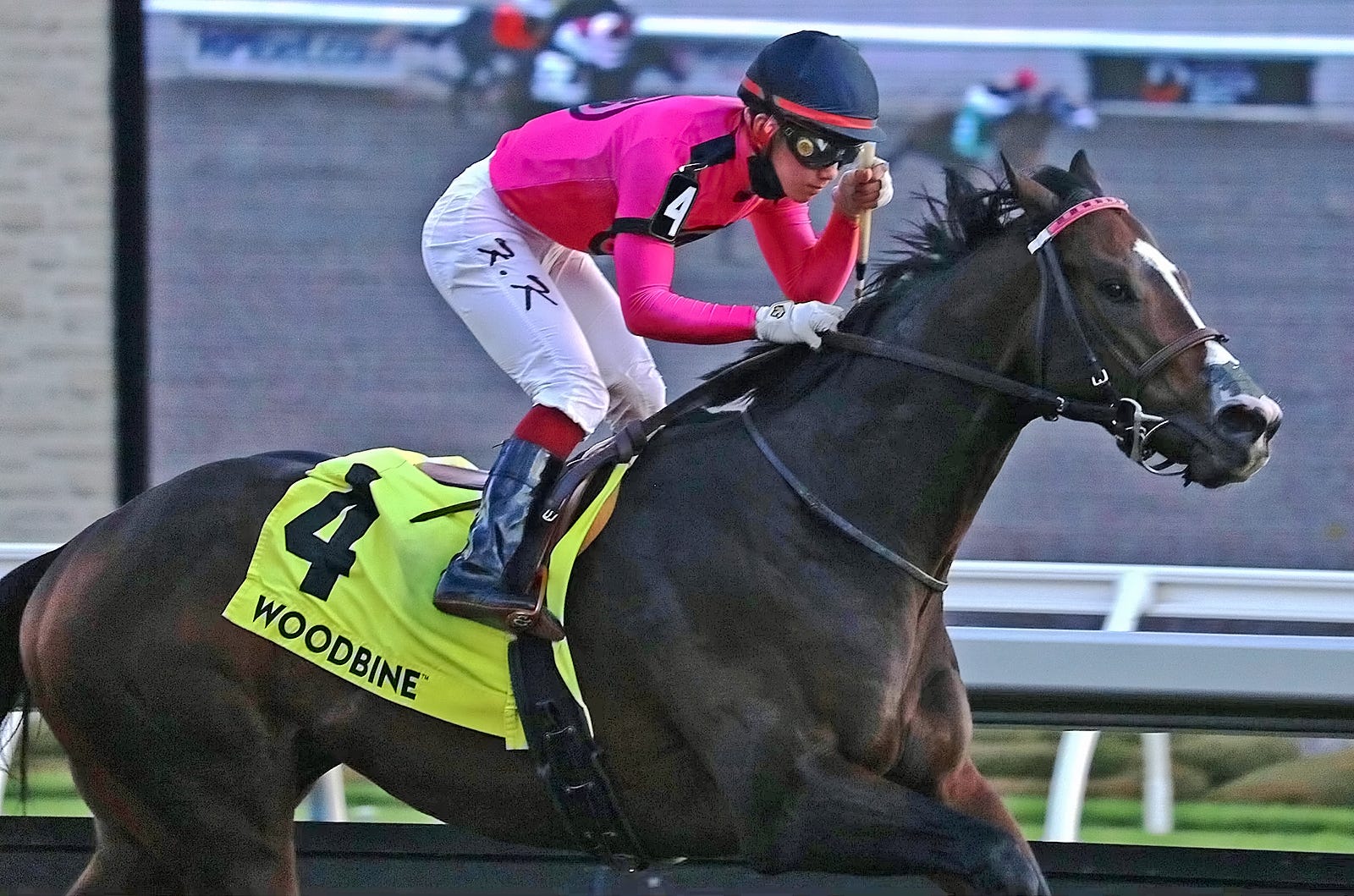 Frosted Over drops for $32,000 tag in bid to end win drought