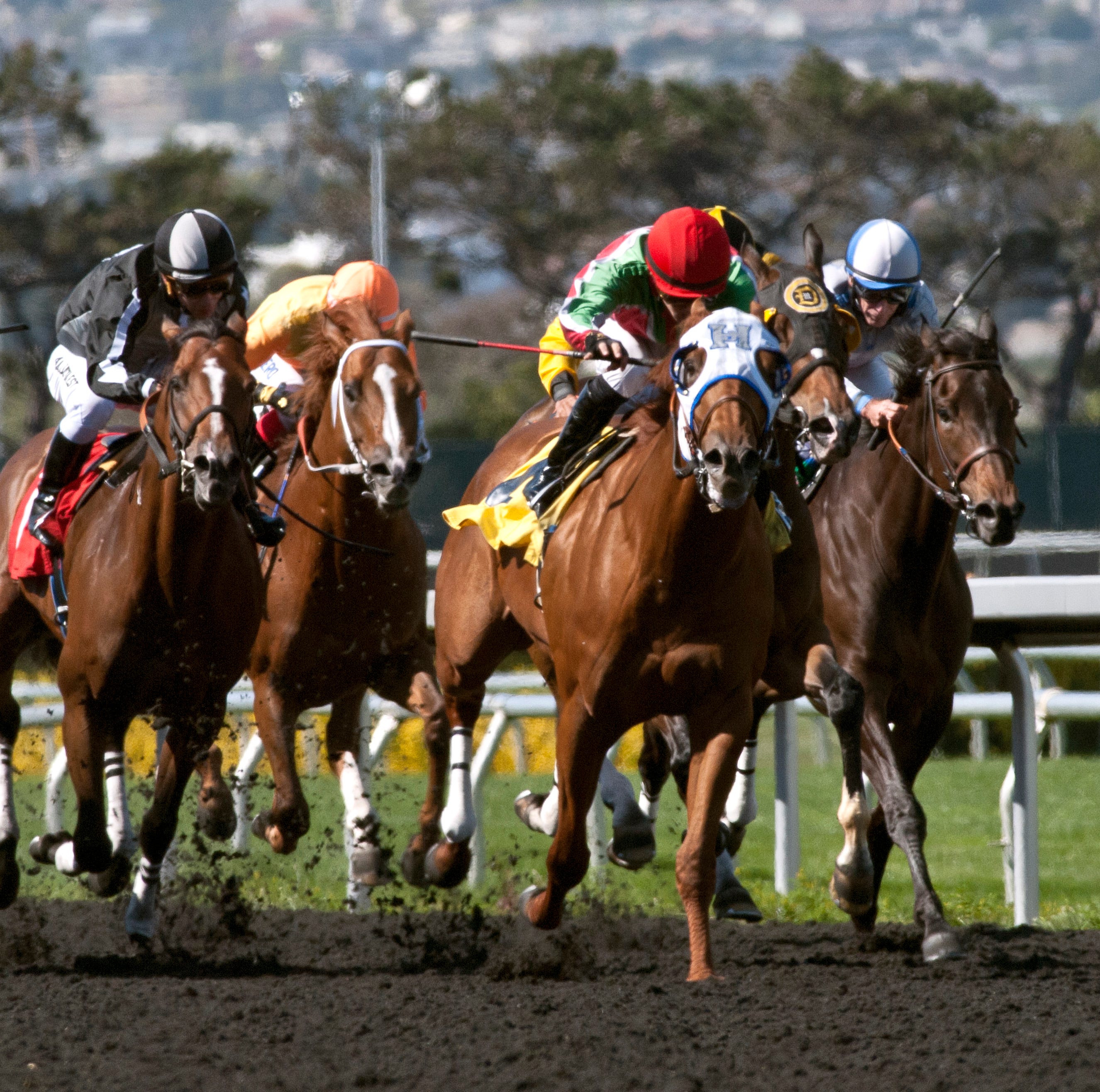 Hollendorfer has trio for All American Stakes