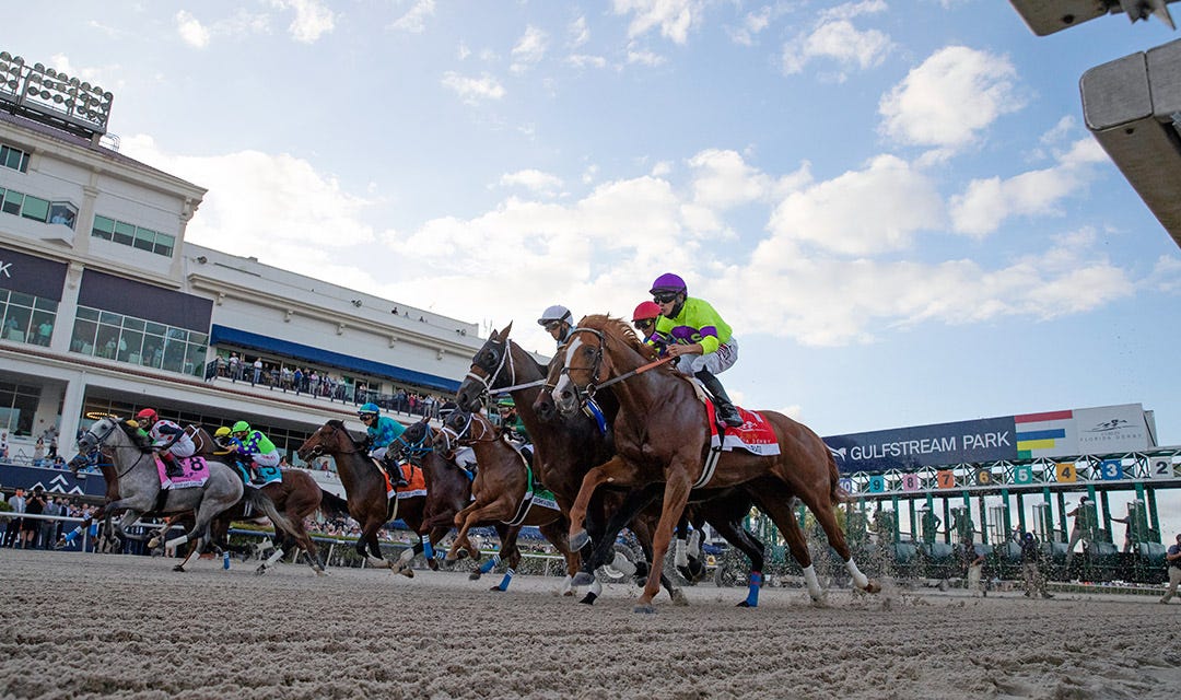 Gulfstream schedules four stakes on new Tapeta track during fall meet