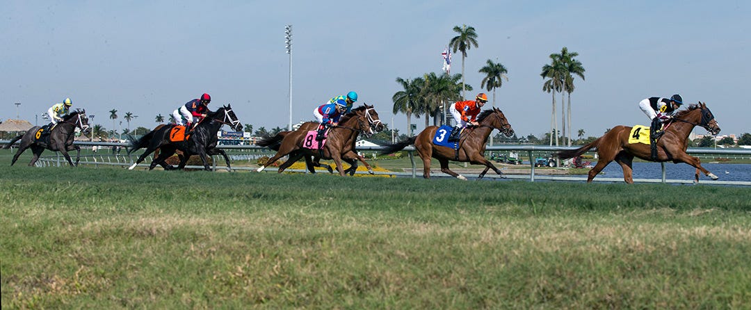 Construction of Tapeta synthetic track kicks off series of renovations