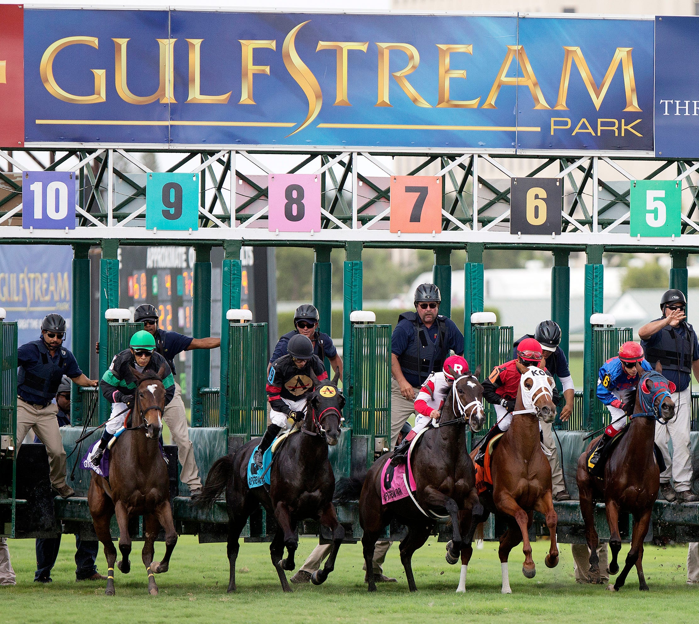 Florida Derby, Pegasus World Cup highlight Gulfstream Park meet