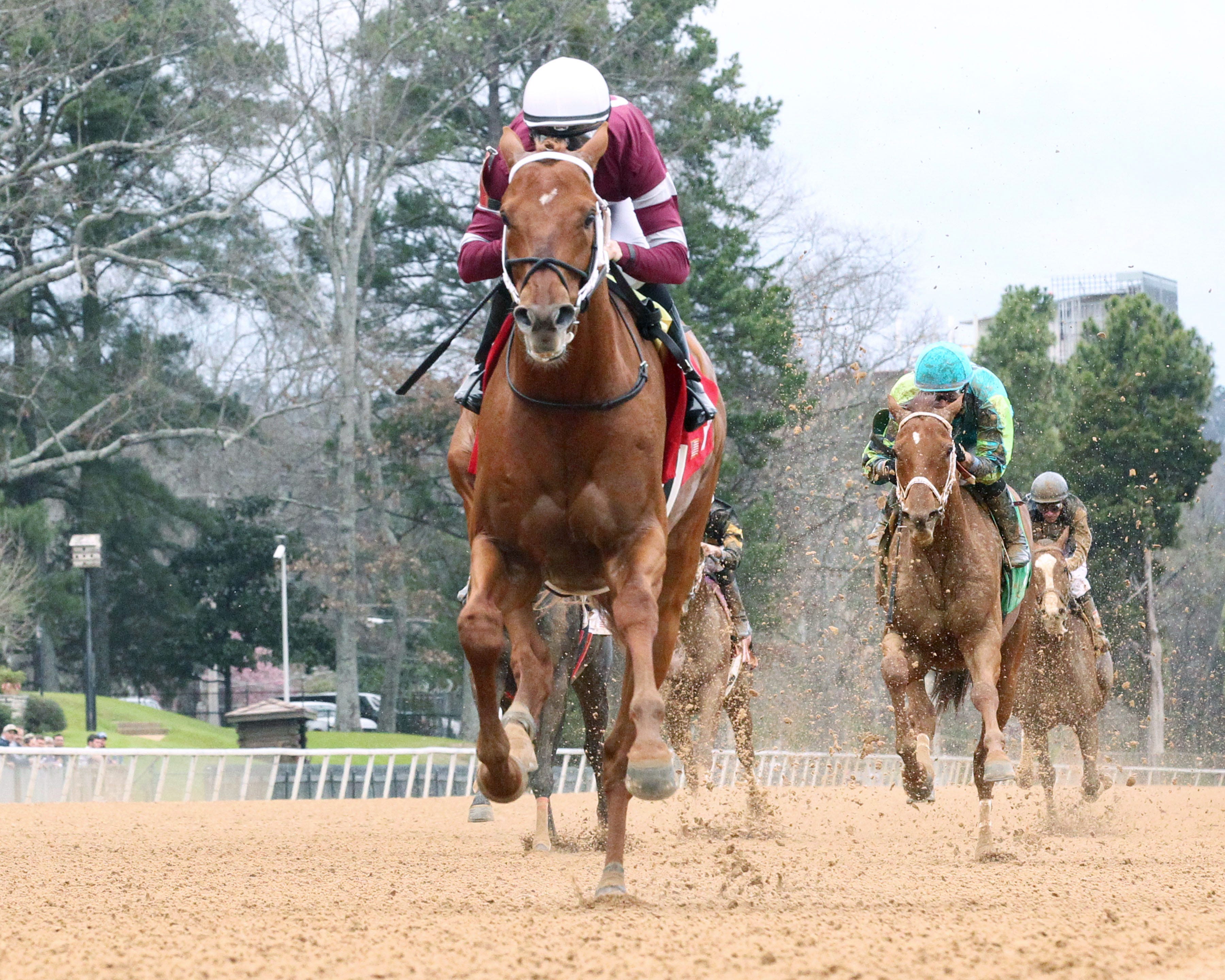 Gun Runner starts 4-year-old season with dominant score in Razorback