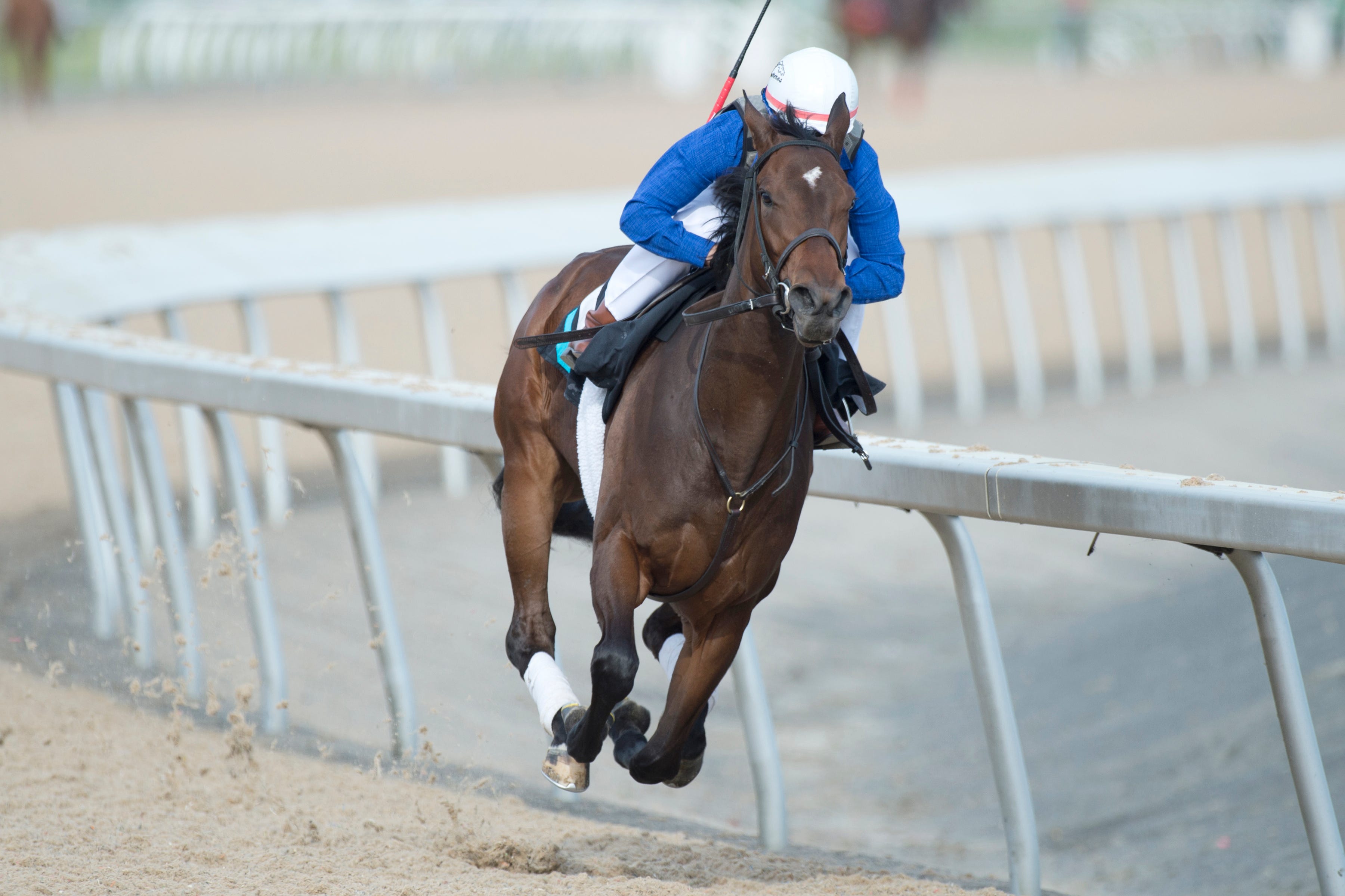 Nine willing to challenge Gamble's Ghost in Woodbine Oaks