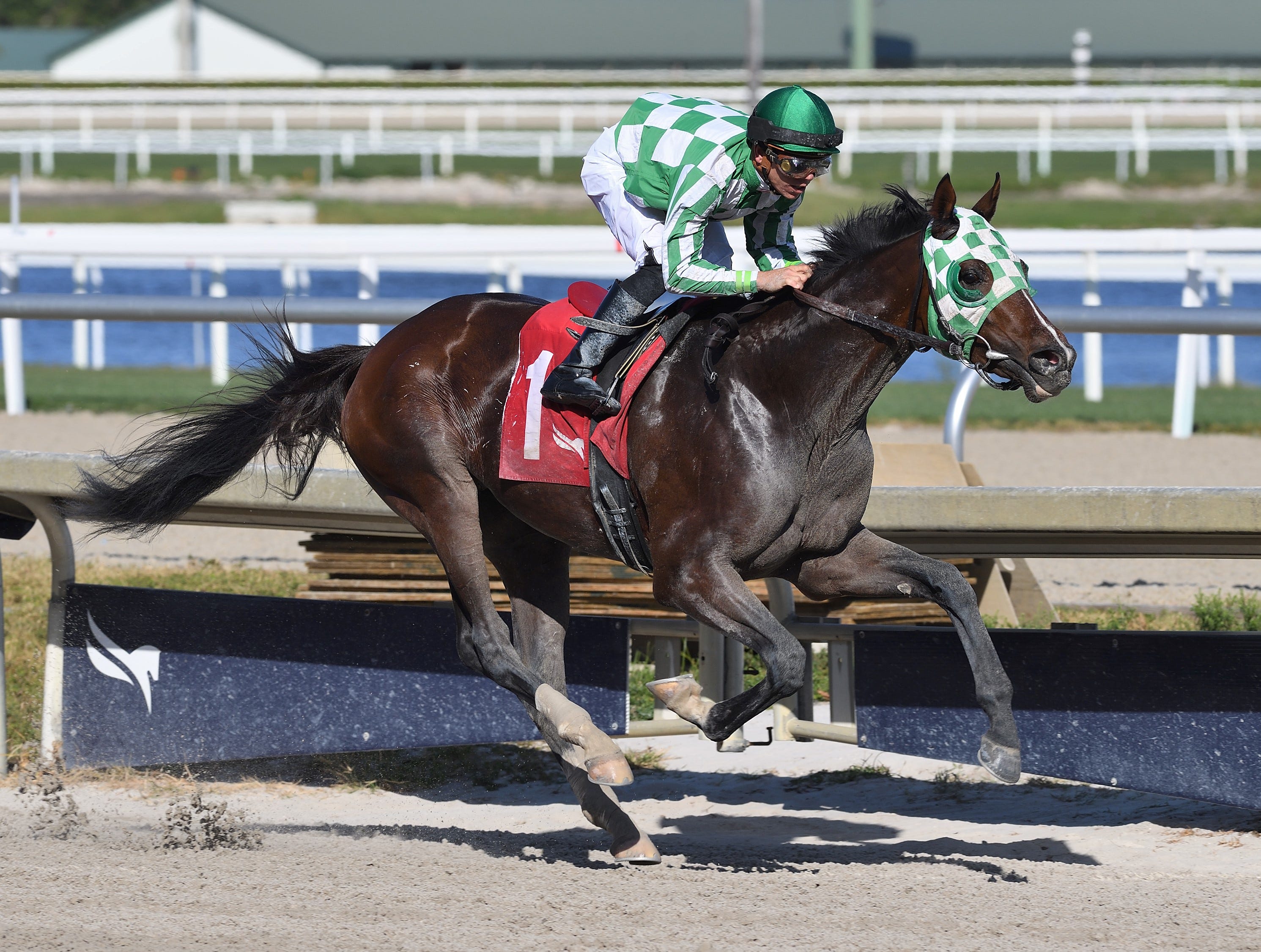 Mr. Ripple back after brief illness