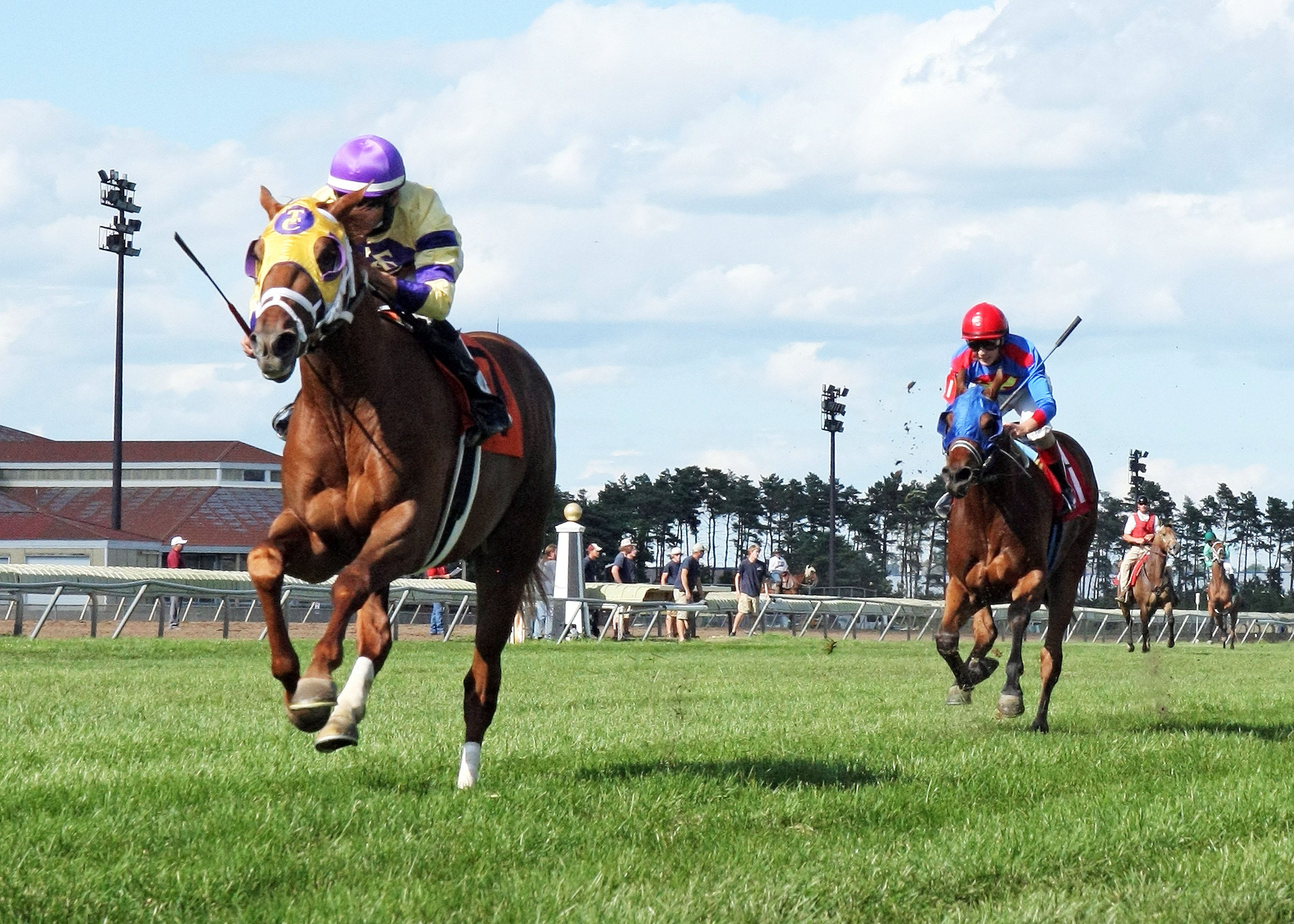 All signs point to General Jack in Friday allowance