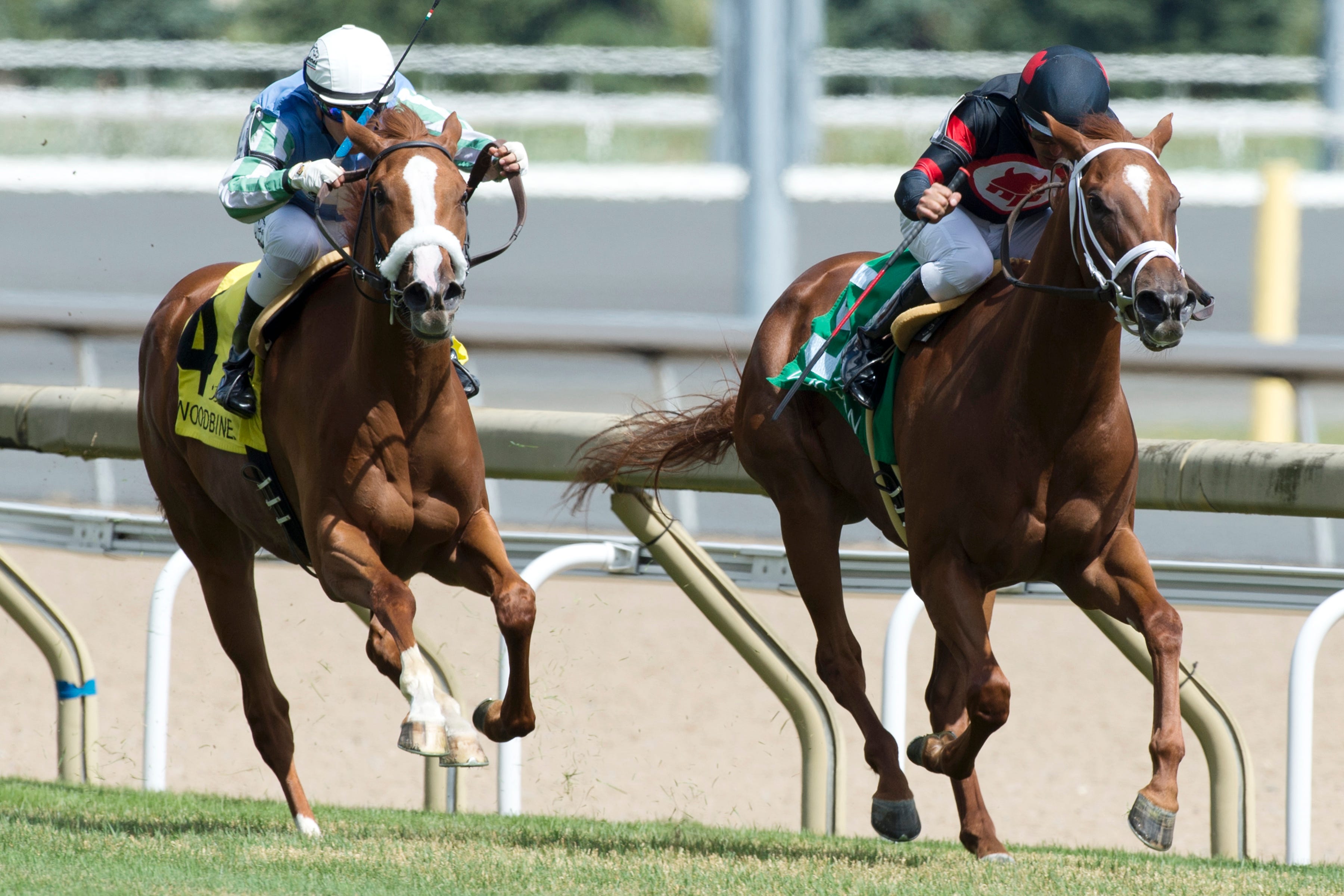 Sugar Jones looks to turn tables on Generous Touch in Eternal Search Stakes