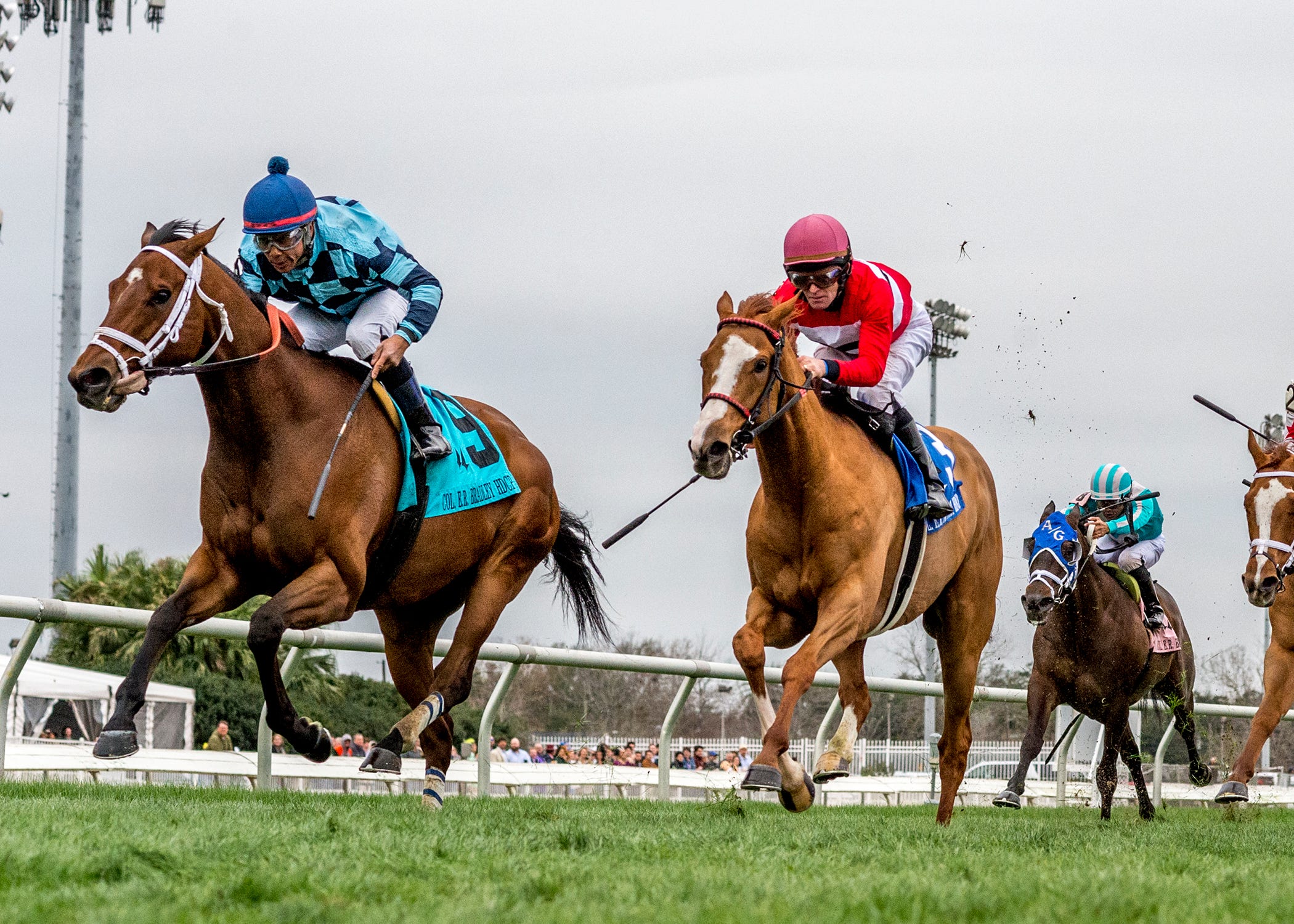 Two Emmys, Gentle Soul rematched in Fair Grounds Stakes