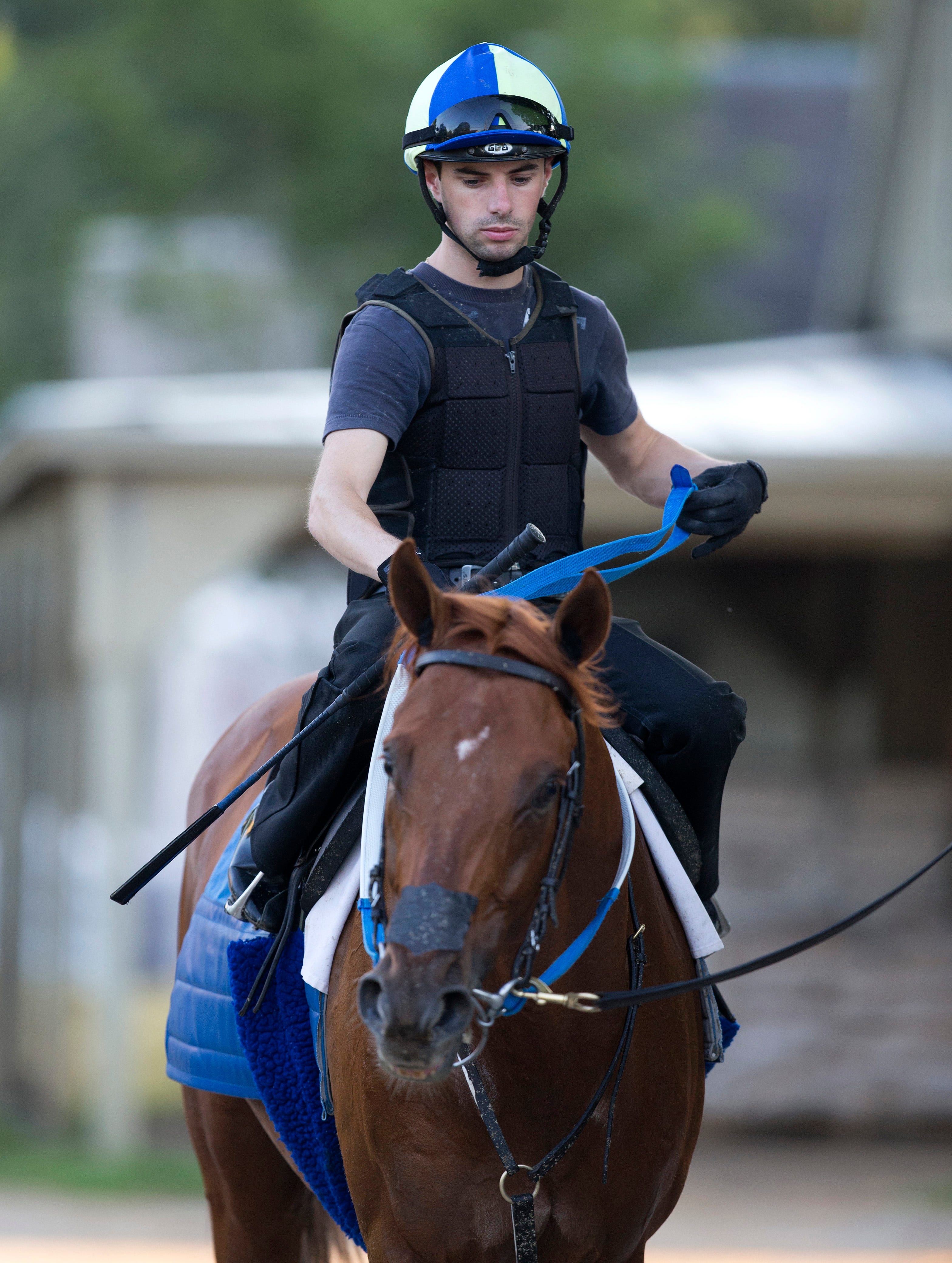 Gun Runner still going strong