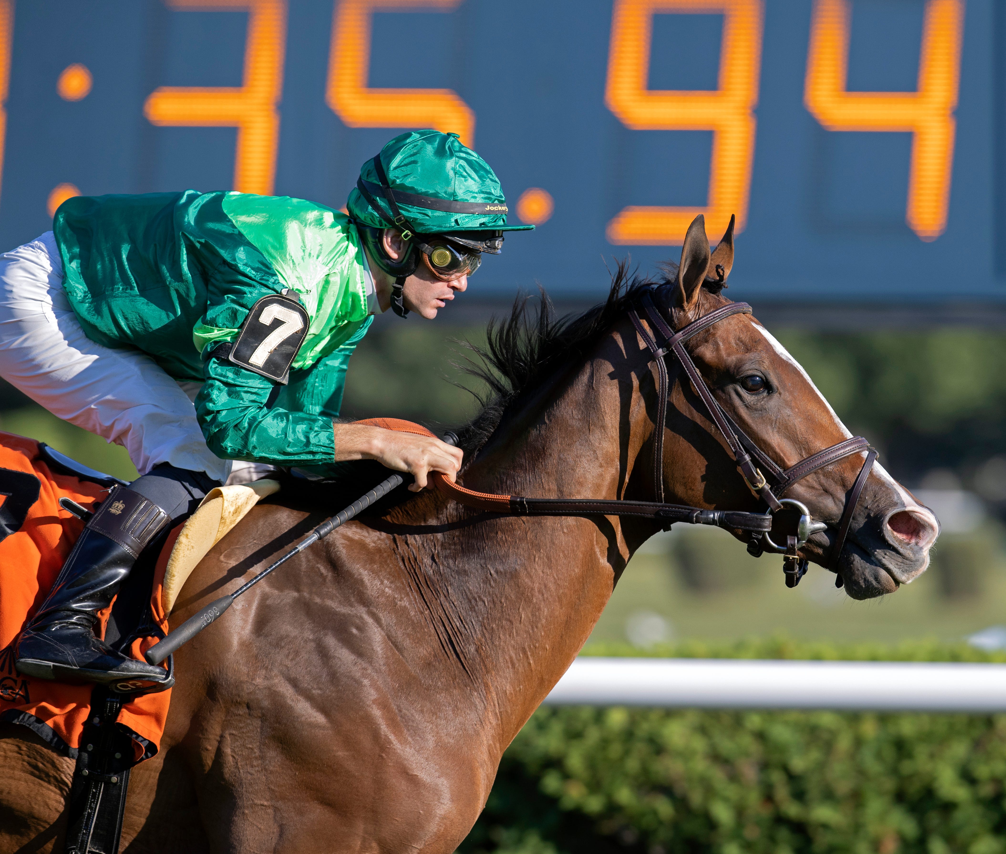 Queen Elizabeth II Challenge Cup to have field of only seven