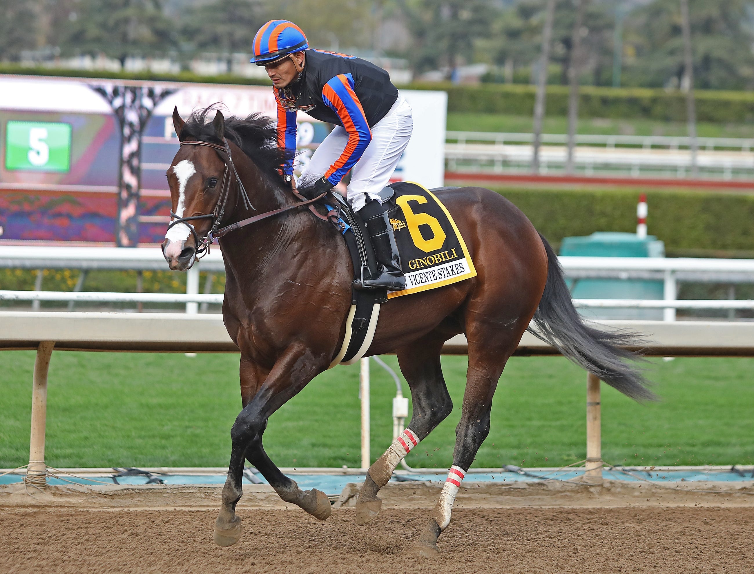 Unsettled racing schedules forcing California trainers to revise plans