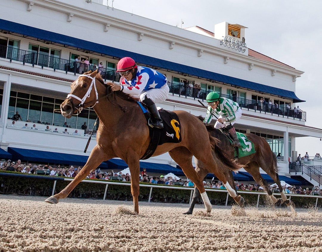 DRF's Horse Racing Playbook for Wednesday, March 9, 2022