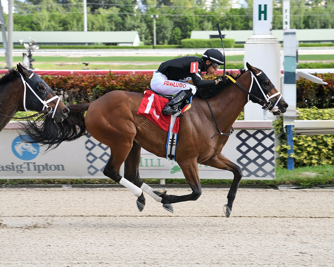 Joseph has two good shots to win Claiming Crown Jewel