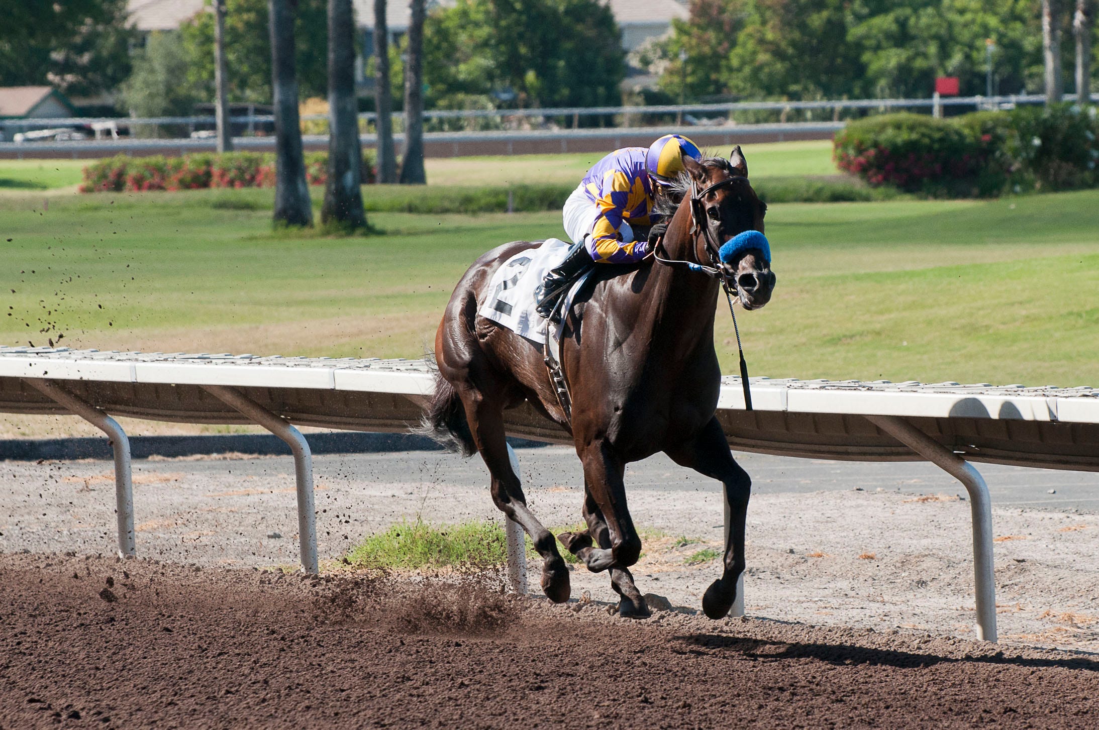 Golden Gate: Gladding returns from illness in All American